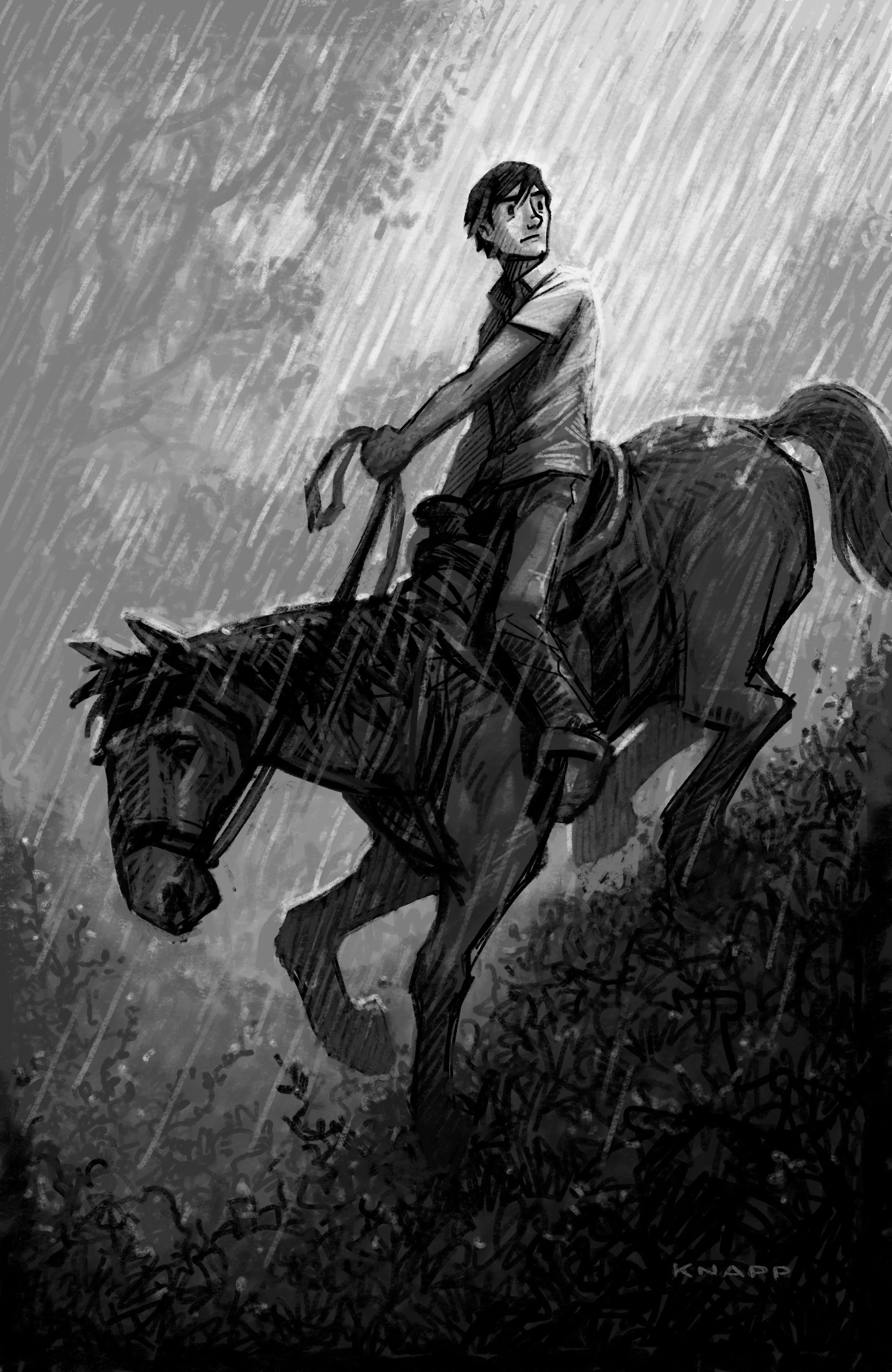 Bio/Contact — MICHAEL KNAPP