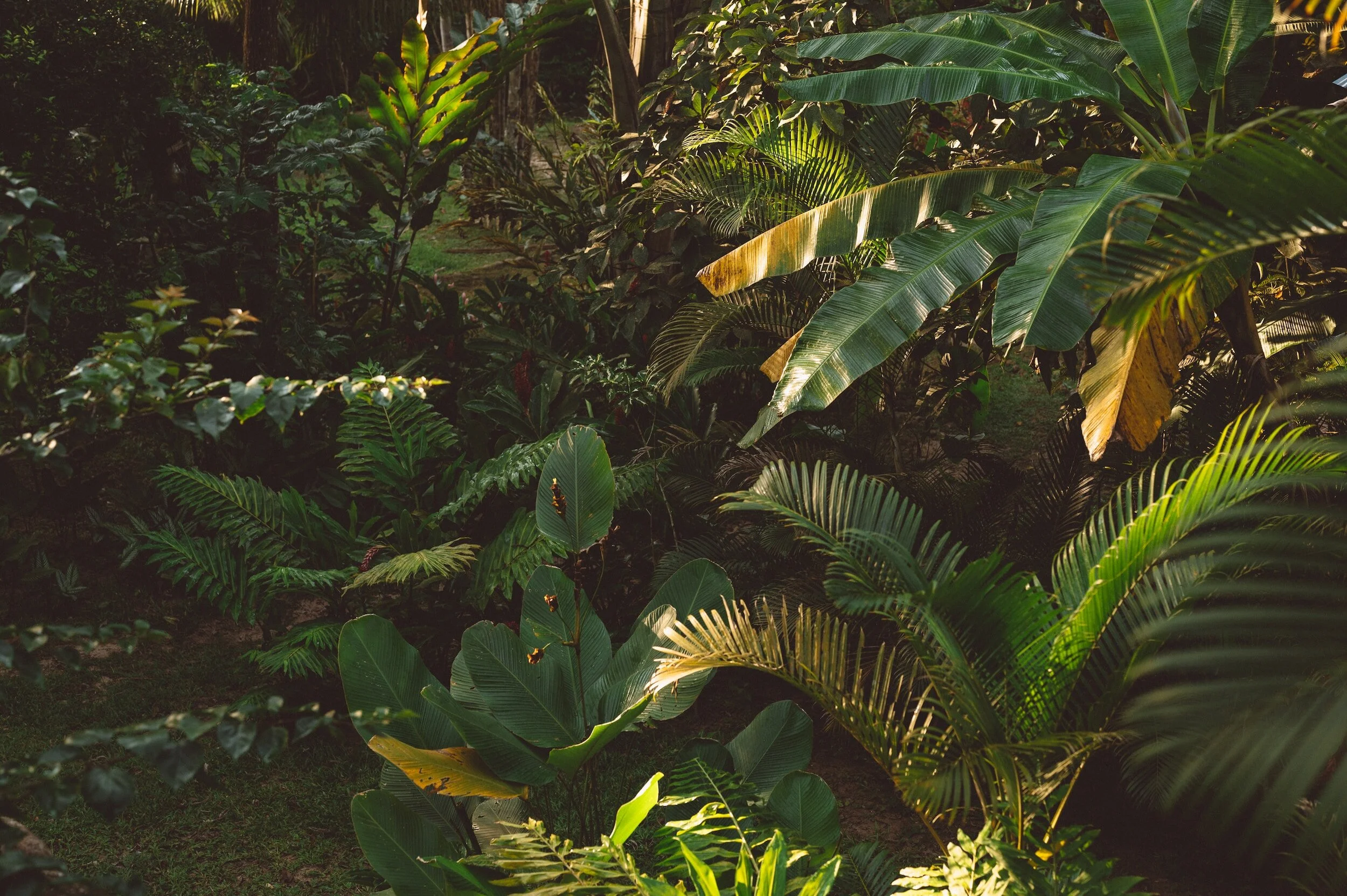 5 Reasons To Visit® St. Thomas, US Virgin Islands — Enjoy Stunning ...