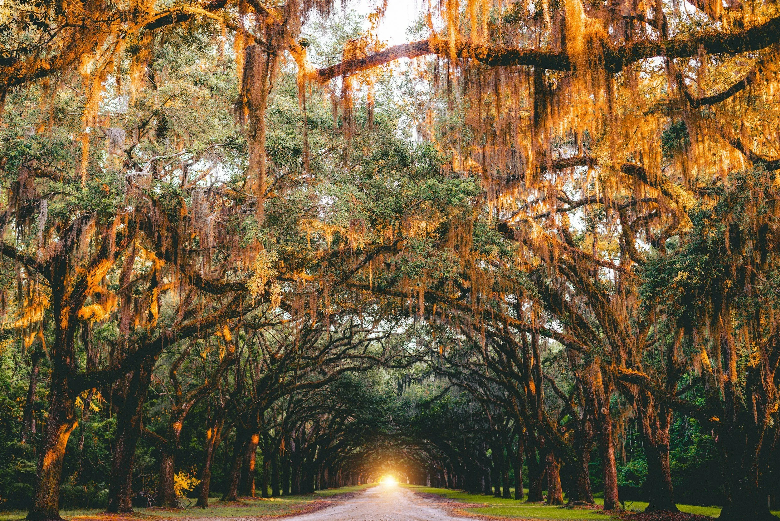 24 Hours and 1 Night In Savannah, Georgia — The Southern Charm Itinerary