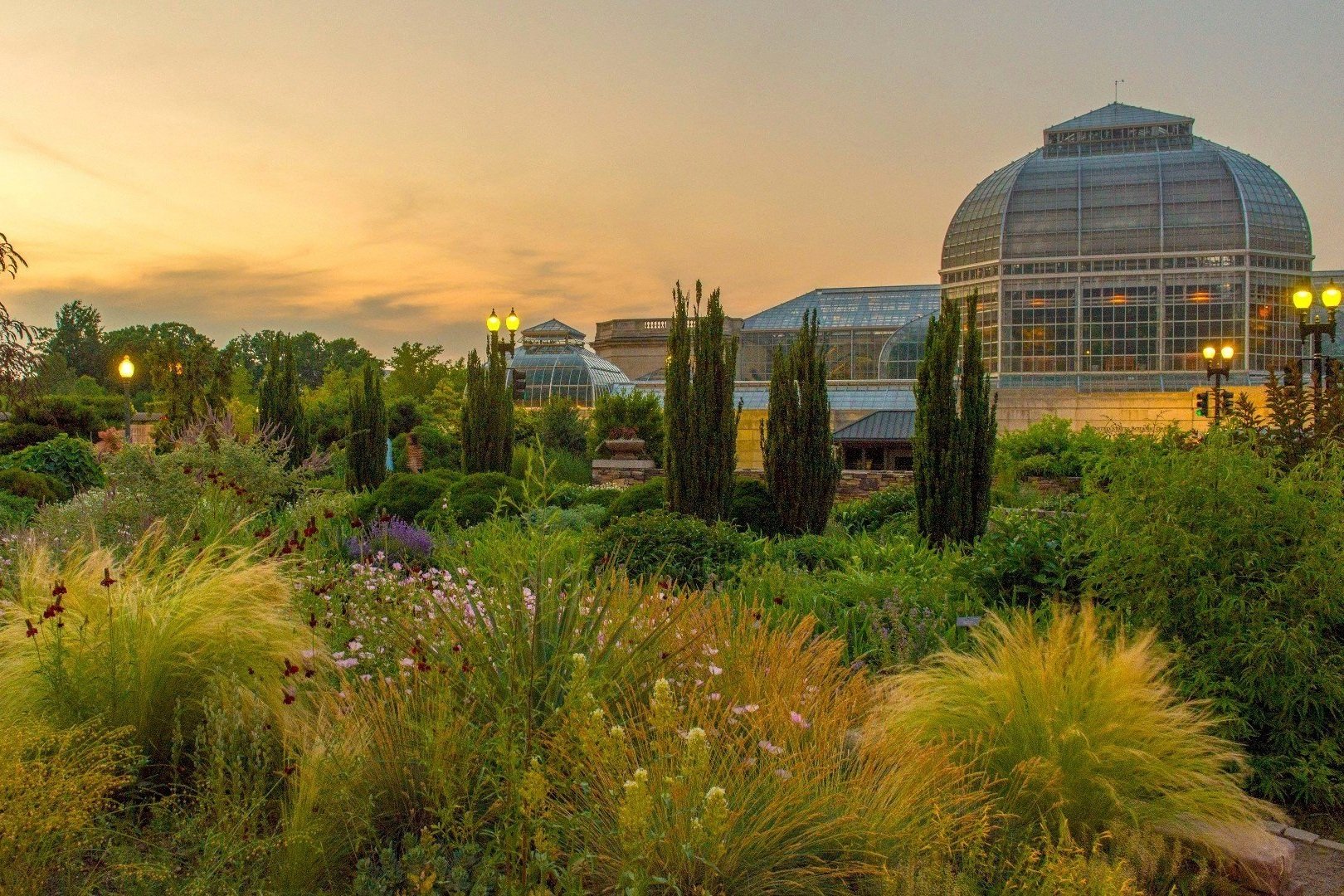 Is Washington, DC Worth Visiting? 5 Reasons To Visit DC
