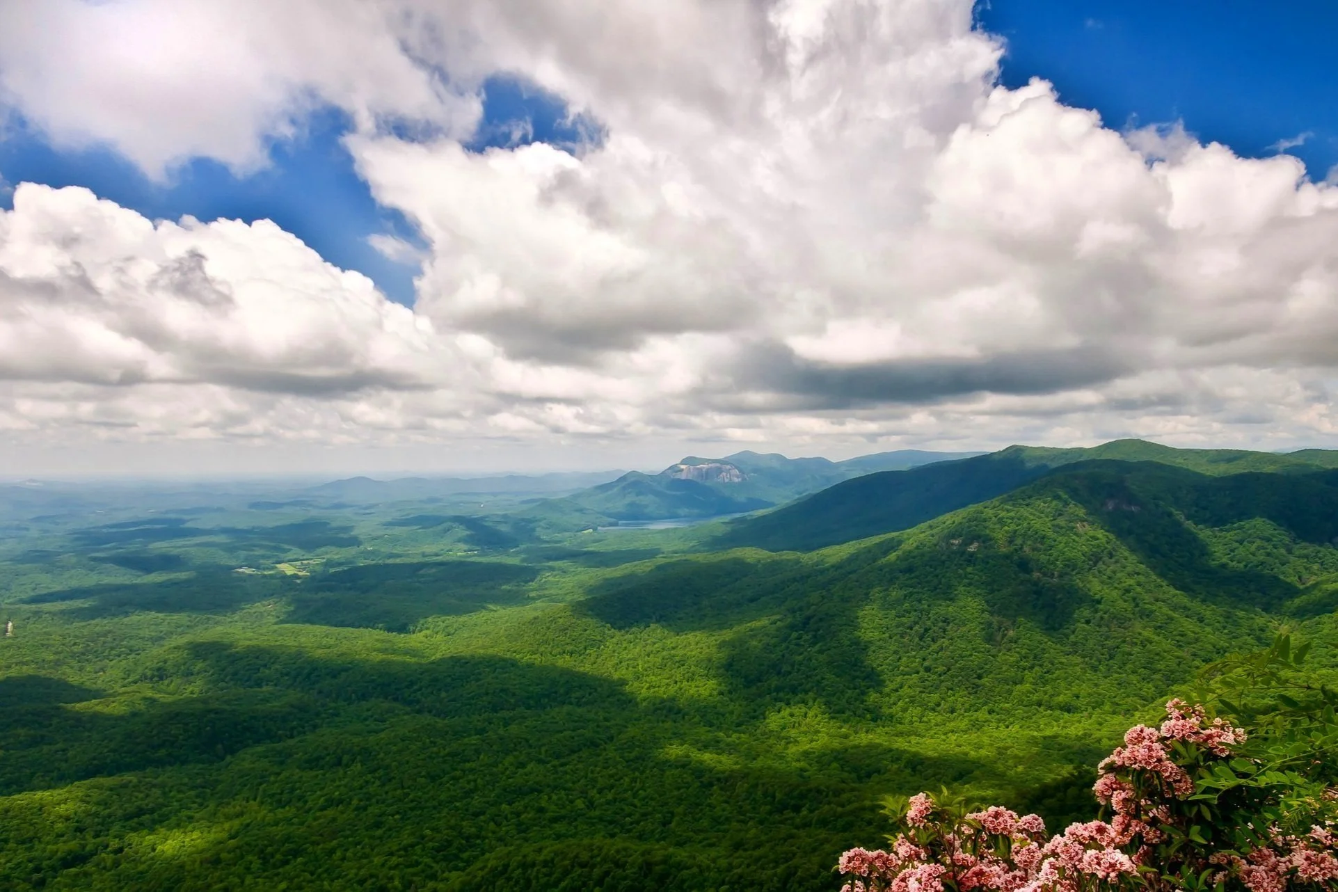 5 Reasons To Visit® Greenville, South Carolina — Brimming With Charm ...