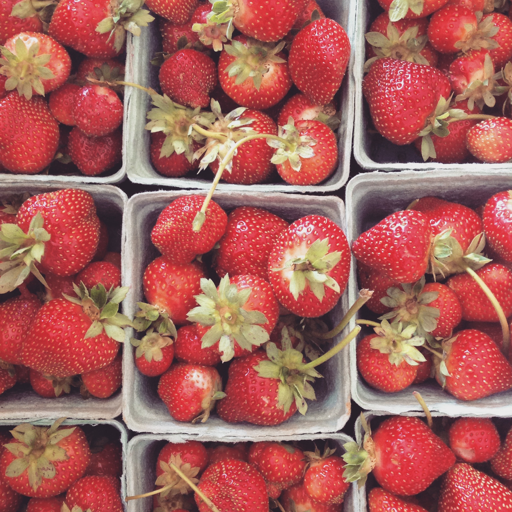 Fat Chance Farmstead - Kingston CSA, un-certified organic Strawberries ...