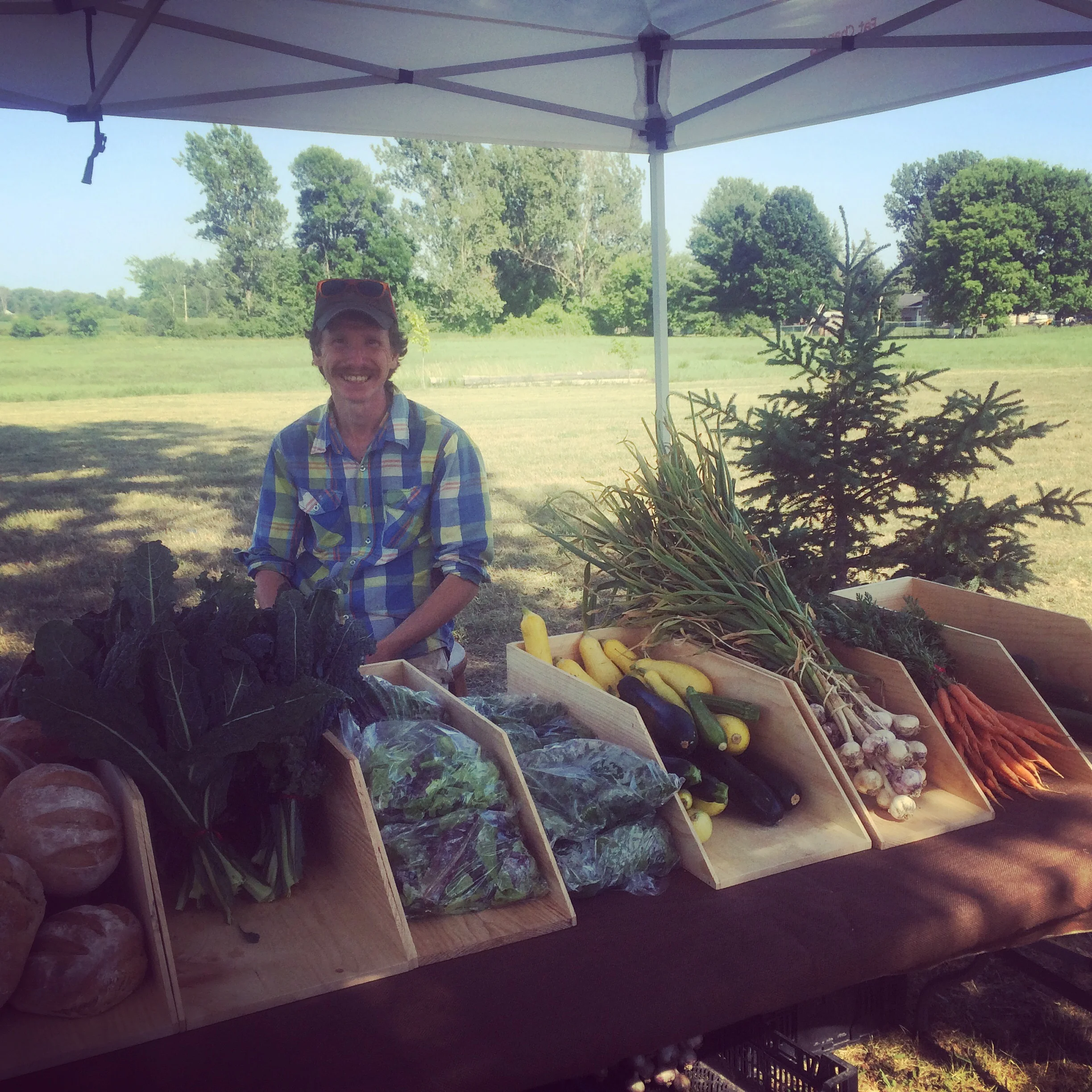 Fat Chance Farmstead - Kingston CSA, un-certified organic Strawberries ...