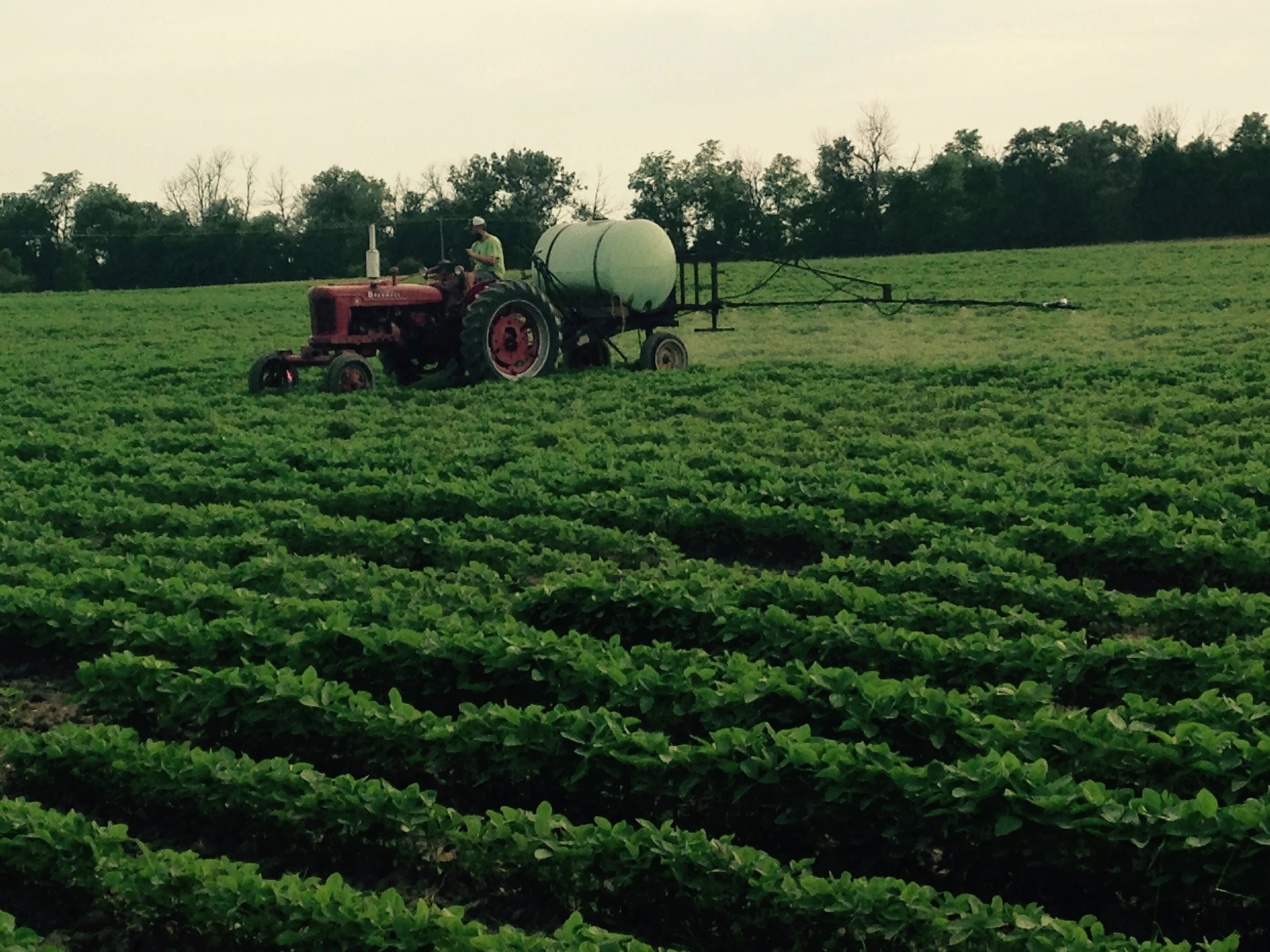 Fields/Grain Farming — Grumpy Goat Experiment