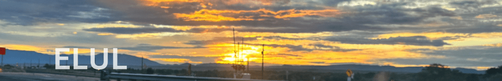 Elul Messages 5785 — Nahalat Shalom Home