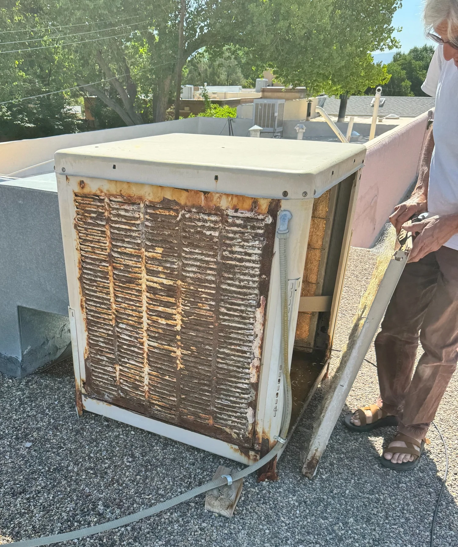 What's New! — Nahalat Shalom Home