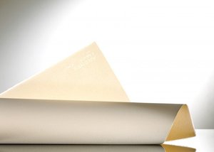 Blog | Legion Paper