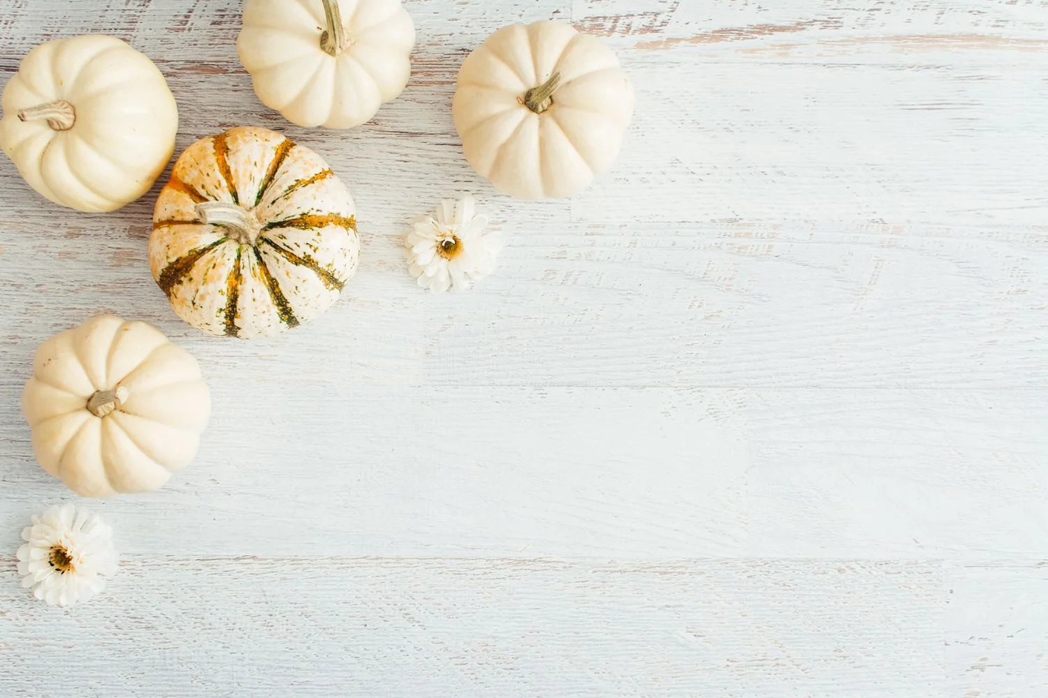 30 Fun Thanksgiving This Or That Questions For Teams
