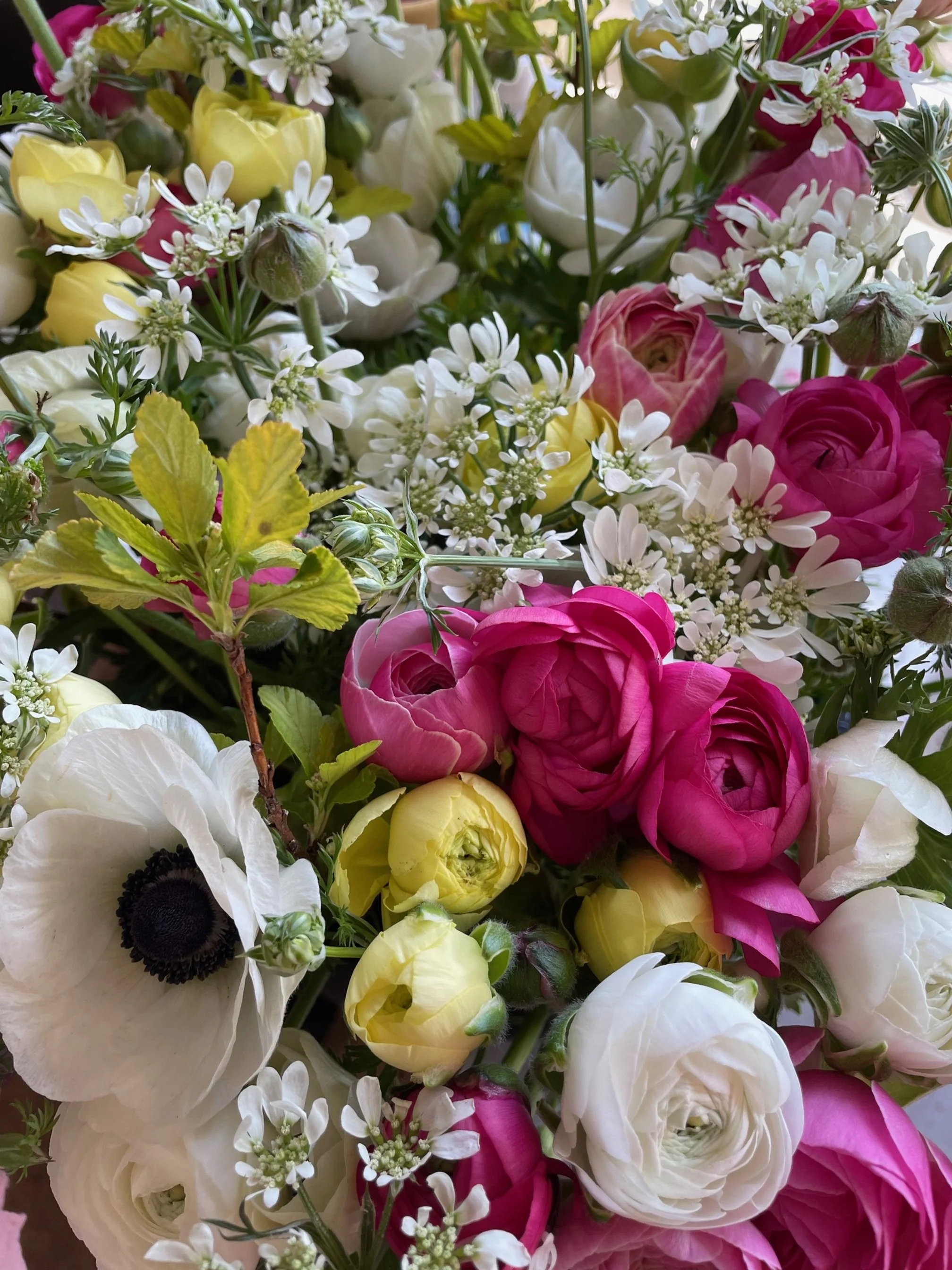 Marketplace — The Petal Patch Flower Farm