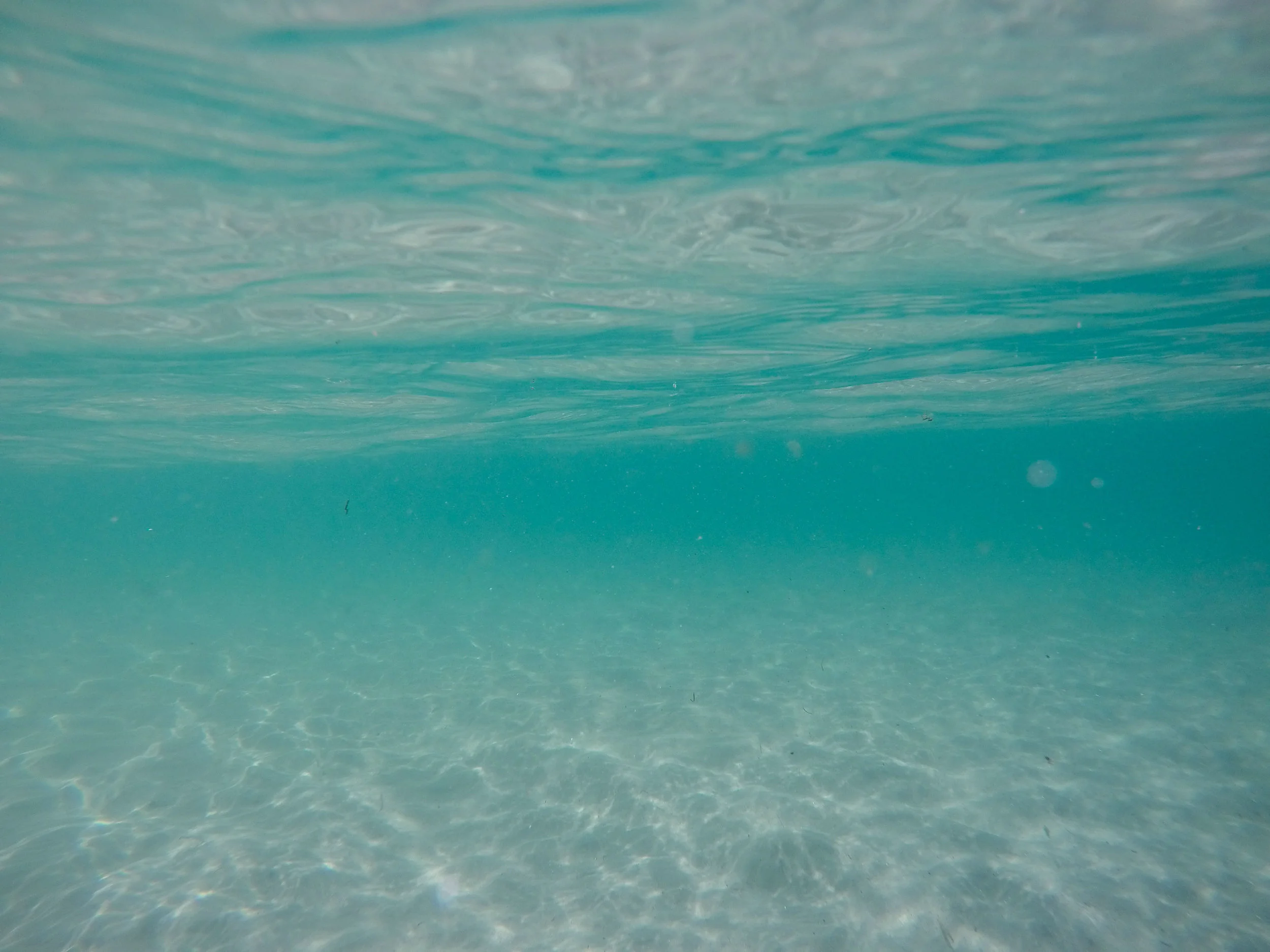 Best Photo Spots along Australia's Sapphire Coast — VANKOOKZ