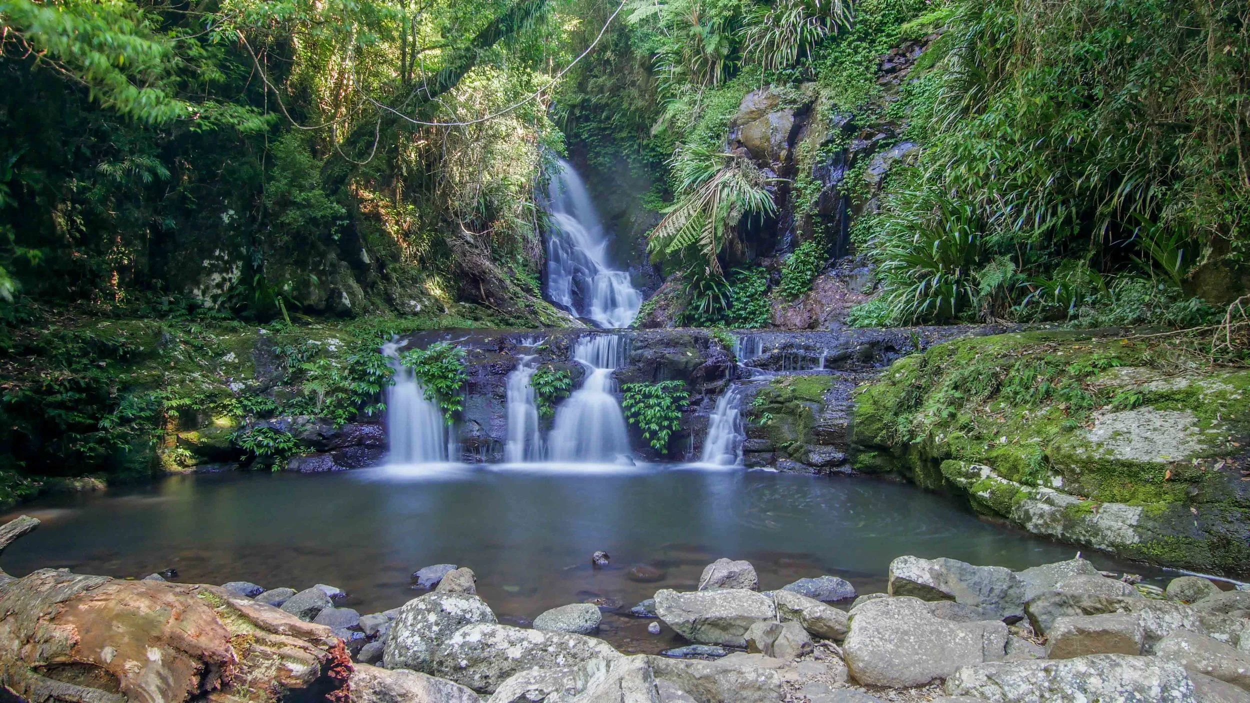 Best of the Gold Coast - Five Activities to do While Visiting ...