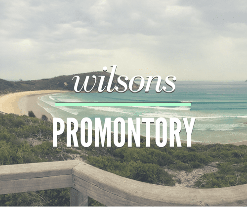 Adventures in Australia — VANKOOKZ