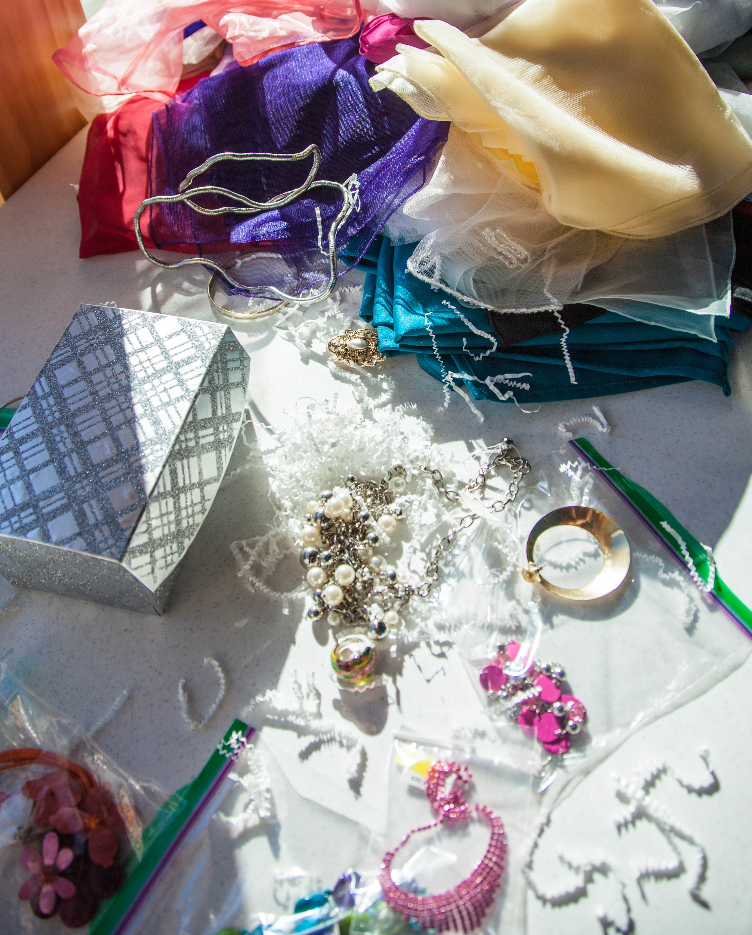 The Cinderella Project