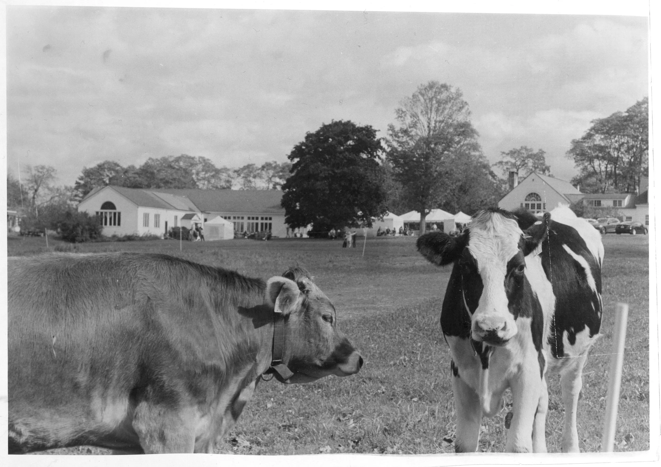 Fall 2023 Student Work — In-Sight Photography Project