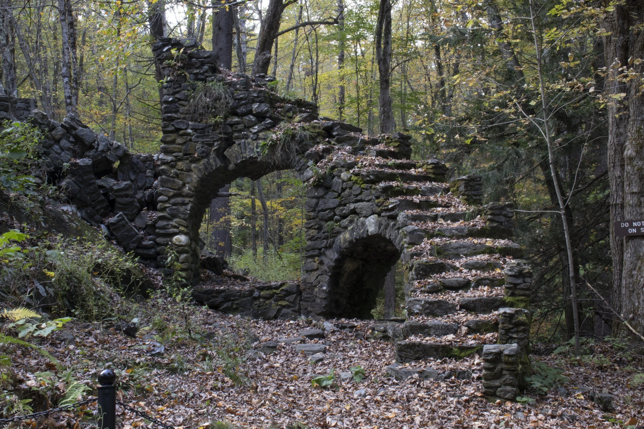 Fall 2023 Student Work — In-Sight Photography Project