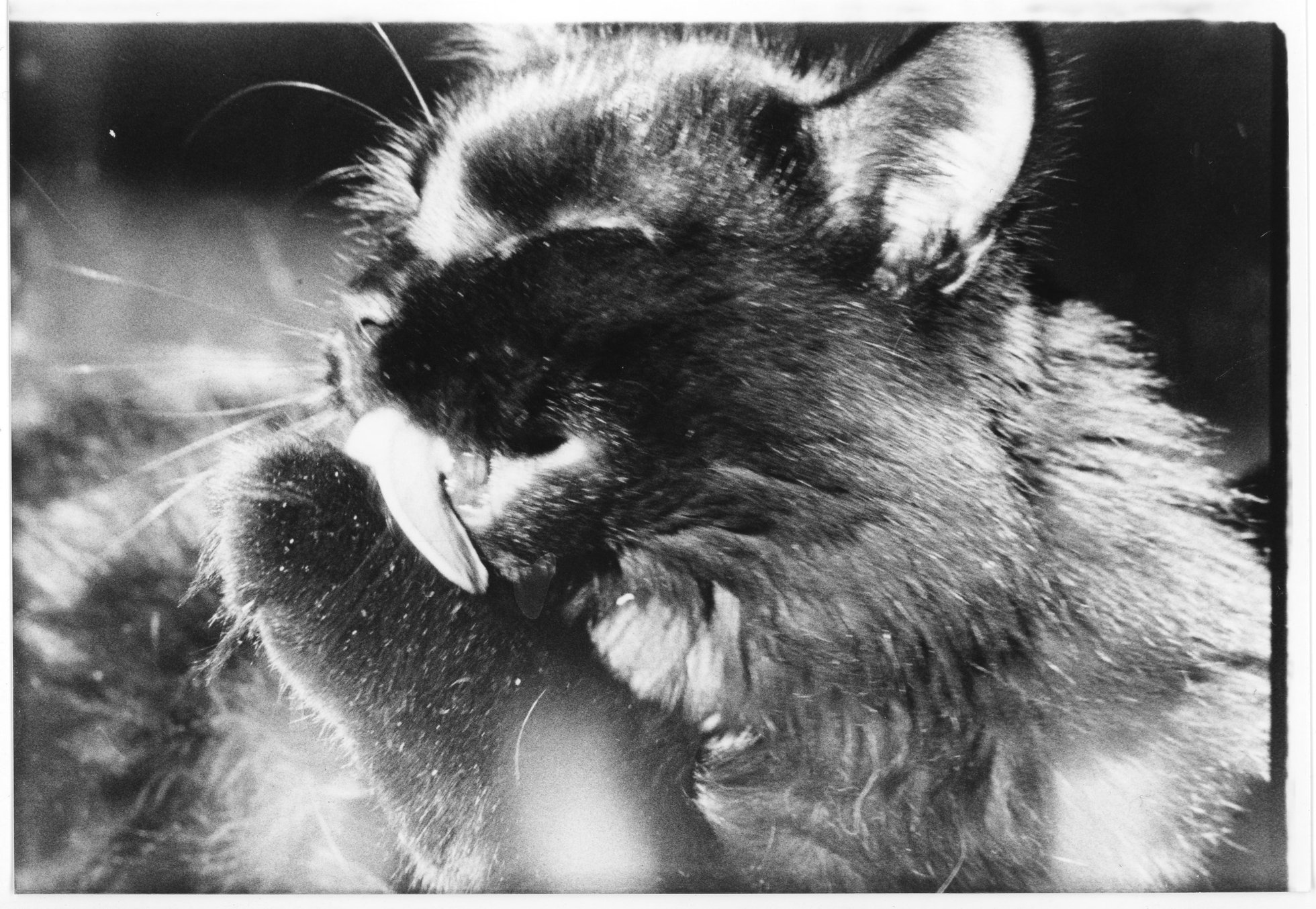 Fall 2023 Student Work — In-Sight Photography Project