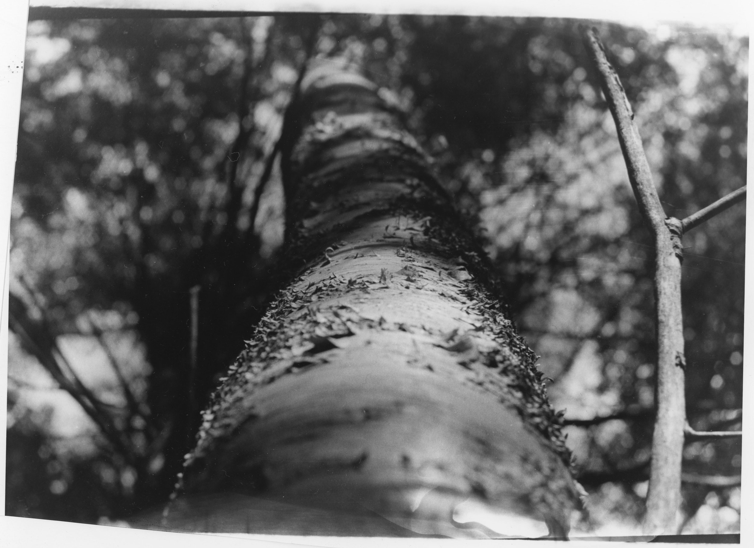 Fall 2023 Student Work — In-Sight Photography Project