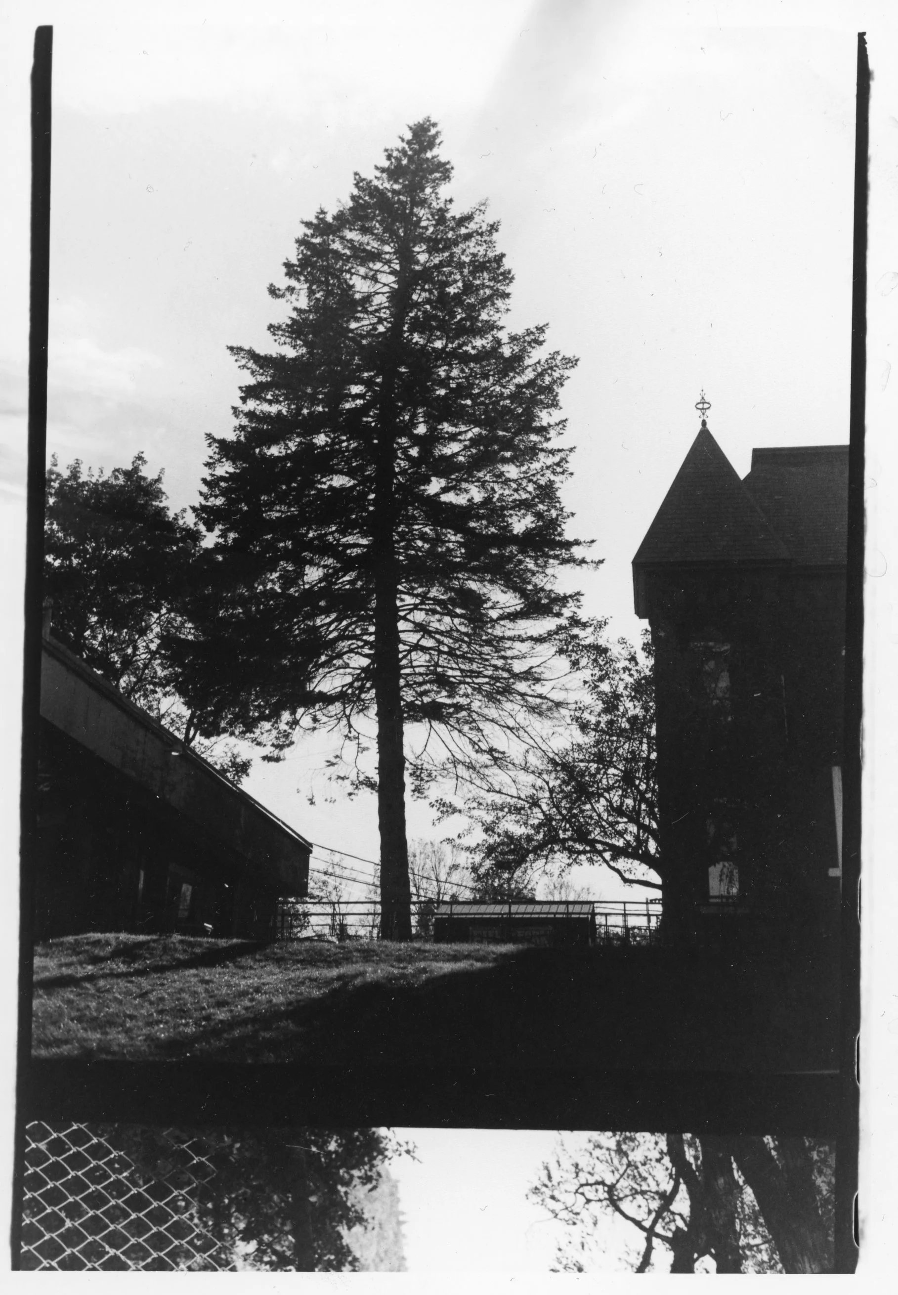 Fall 2023 Student Work — In-Sight Photography Project