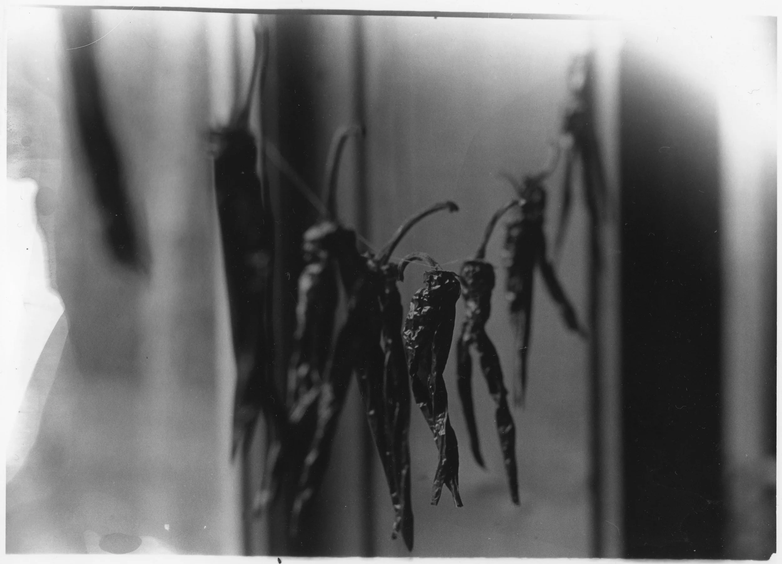 Fall 2023 Student Work — In-Sight Photography Project