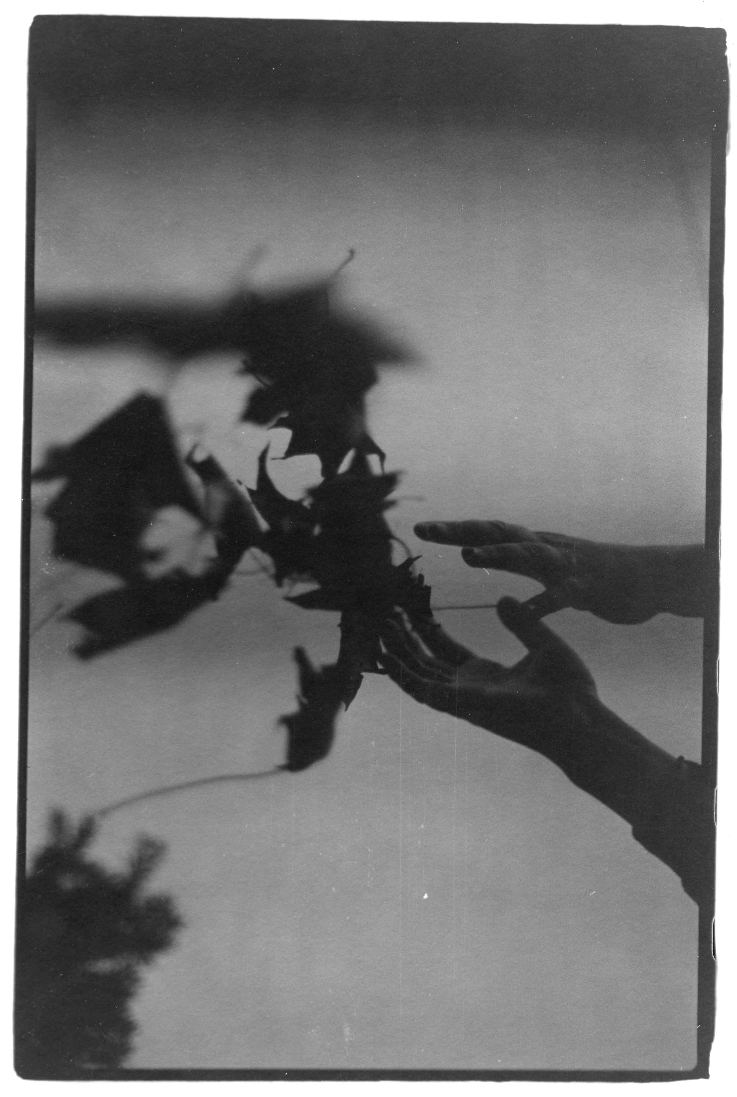 Fall 2023 Student Work — In-Sight Photography Project