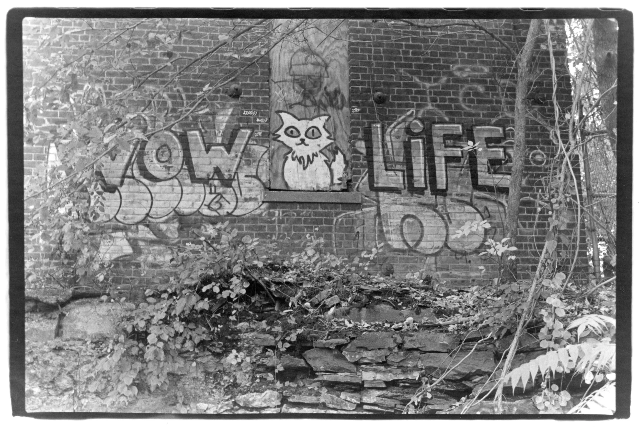 Fall 2023 Student Work — In-Sight Photography Project