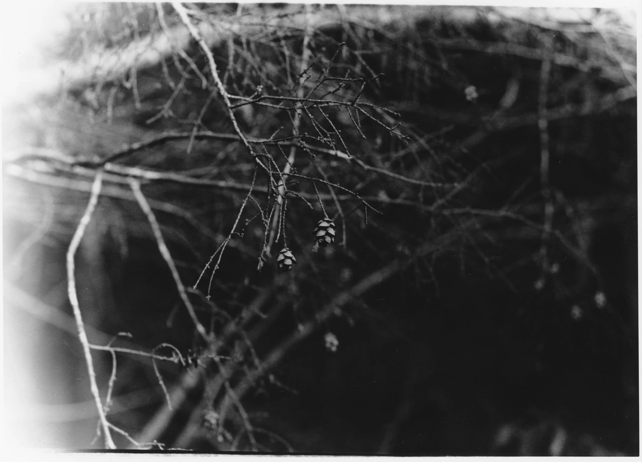 Fall 2023 Student Work — In-Sight Photography Project