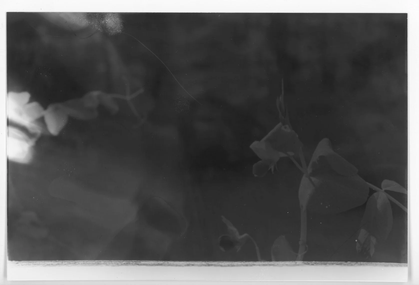 Fall 2023 Student Work — In-Sight Photography Project