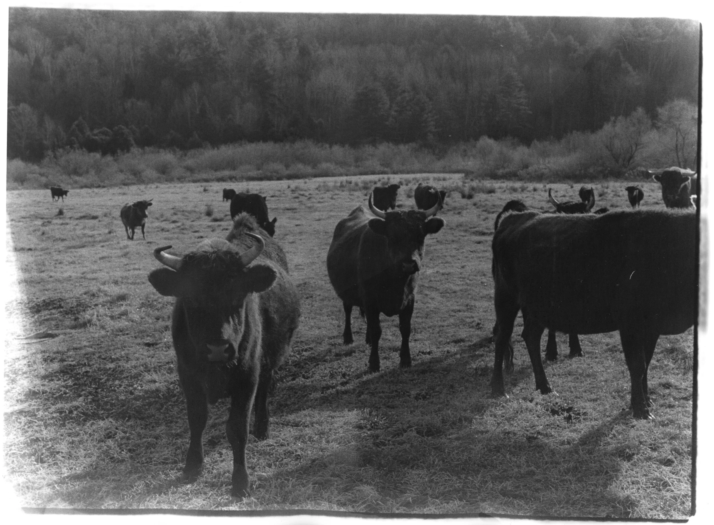 Fall 2023 Student Work — In-Sight Photography Project