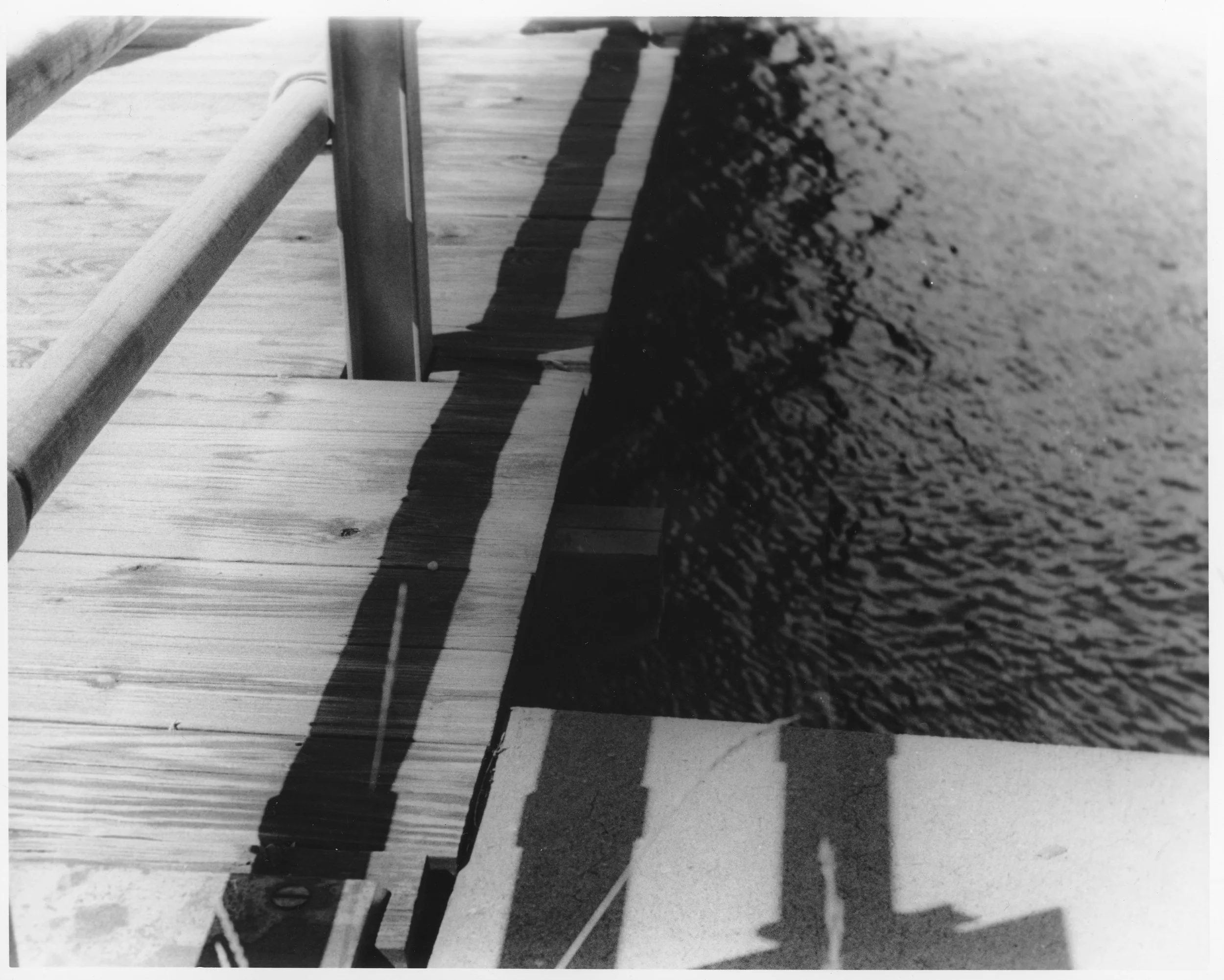 Fall 2023 Student Work — In-Sight Photography Project