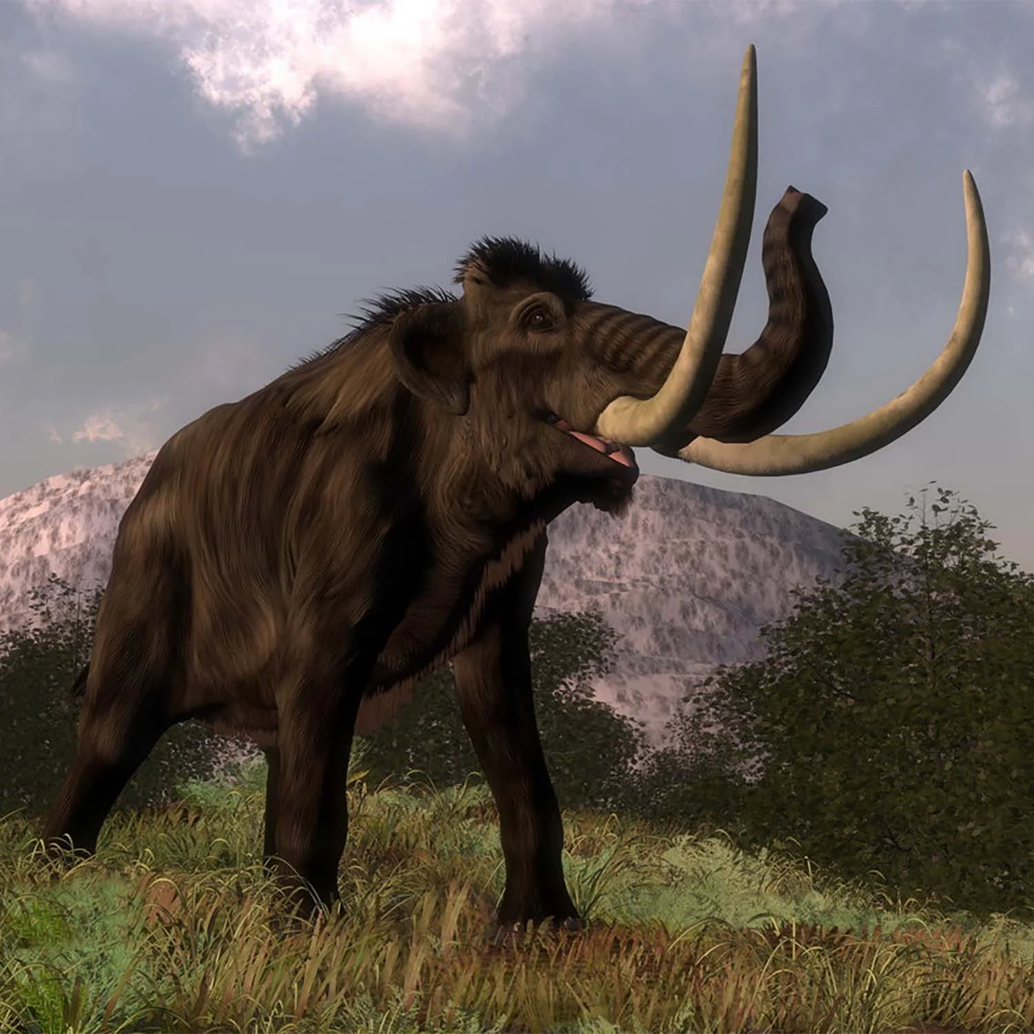 Underground Classroom — Majestic Caverns