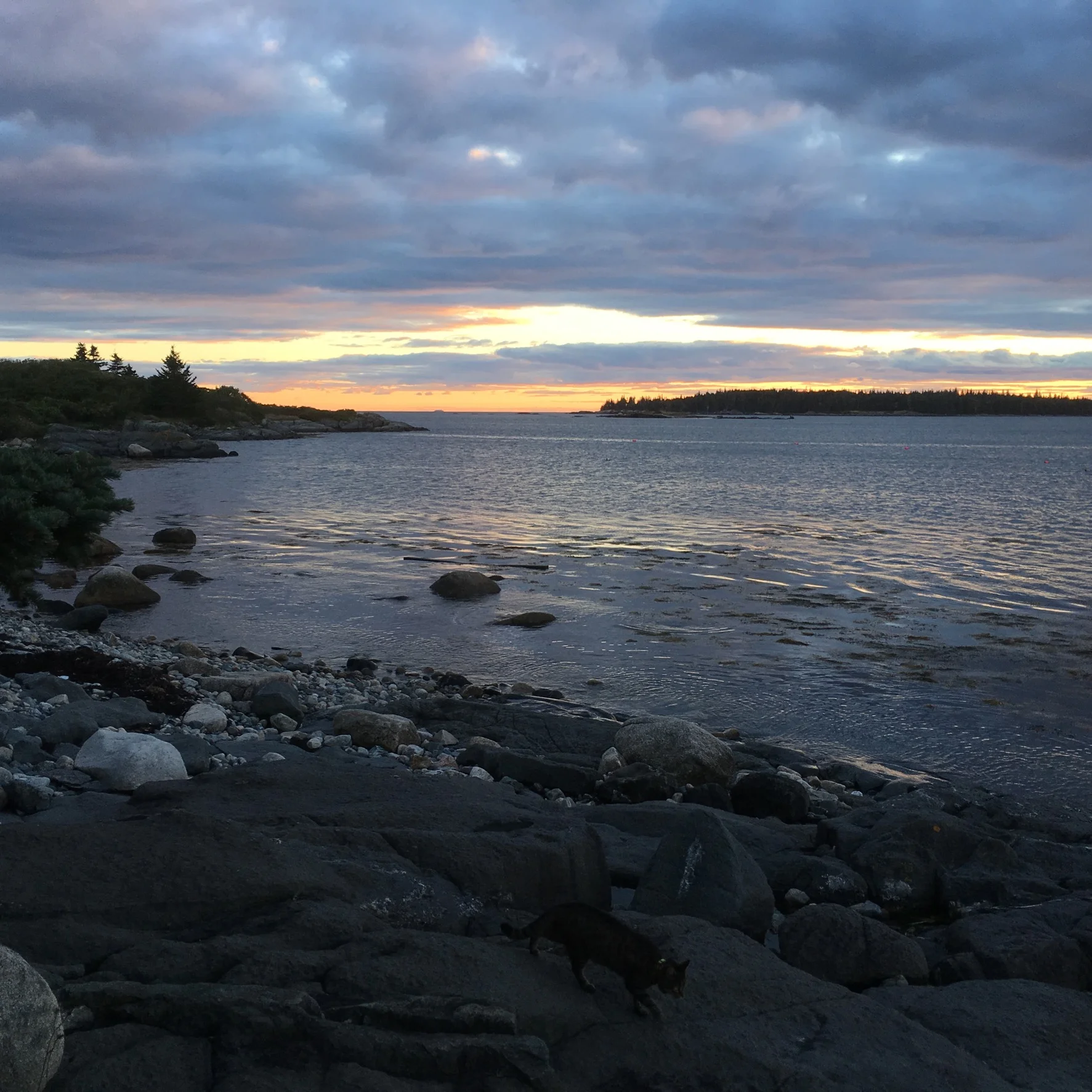 Rockaway | Photo Gallery