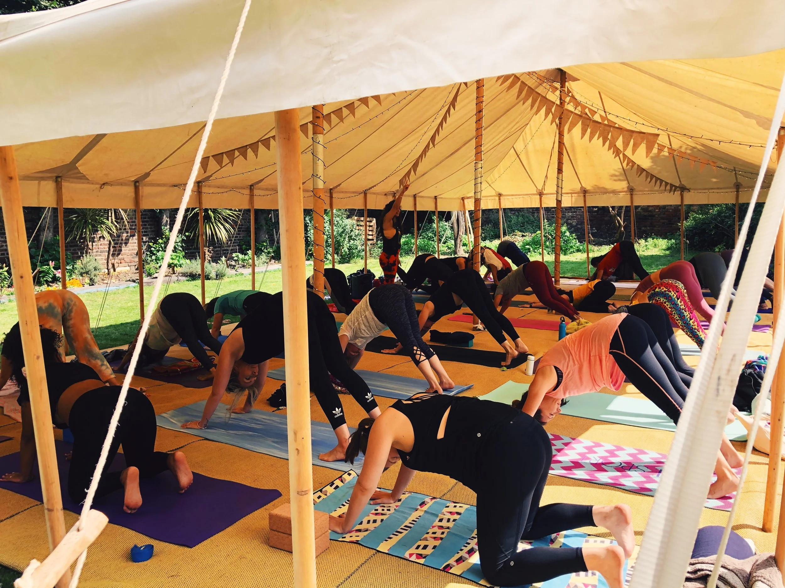 WORKSHOPS + EVENTS — Blithe Yoga