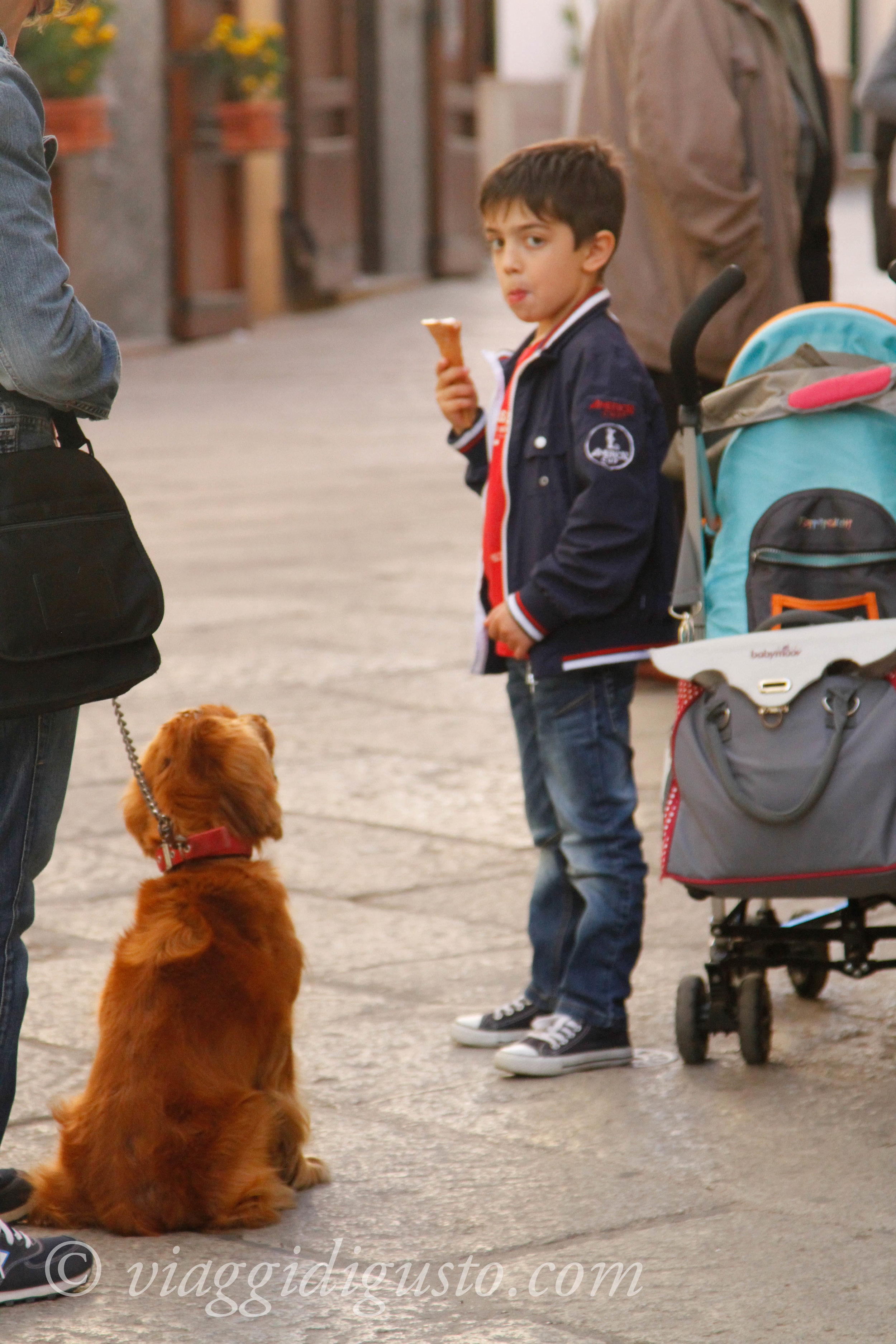 What Dogs Are Native To Sardinia
