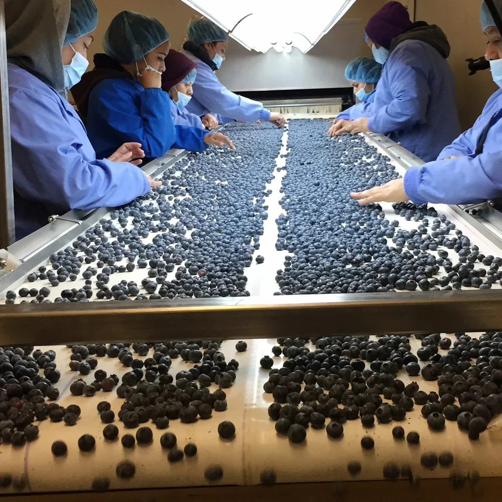 FairField Farms | Organic Farm San Diego, CA