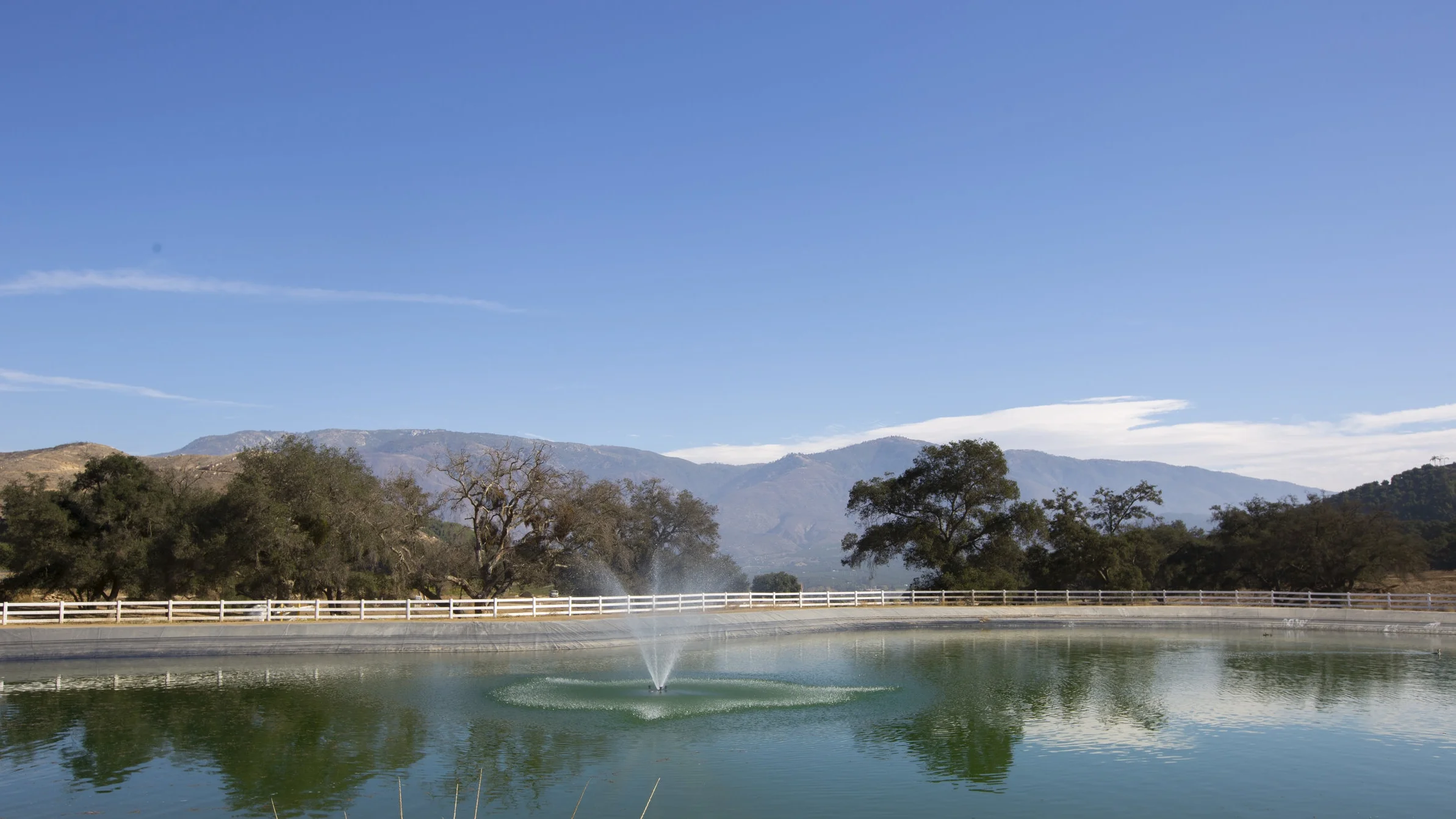 Experience — FairField Farms | Organic Farm San Diego, CA