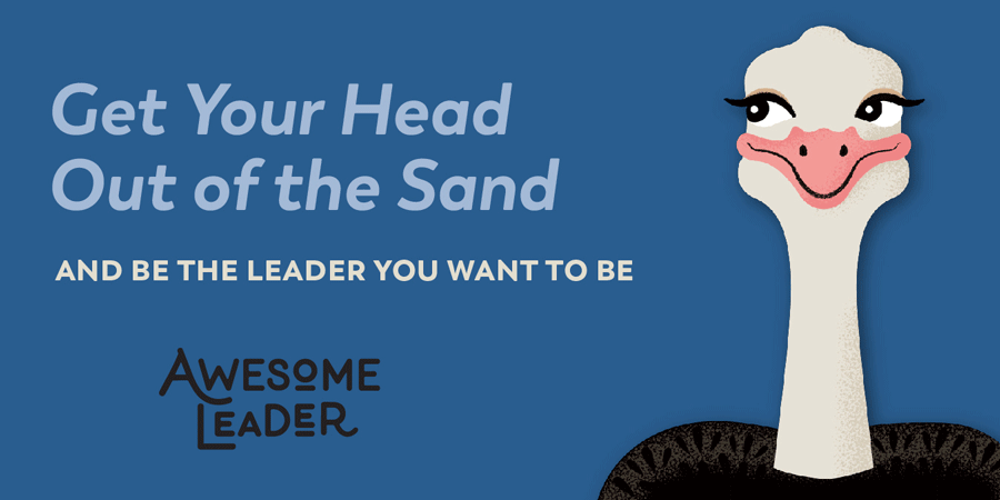 Ostrich Head In Sand Gif