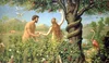 The Tree of Knowledge of Good and Evil — Redeemer Church Manchester