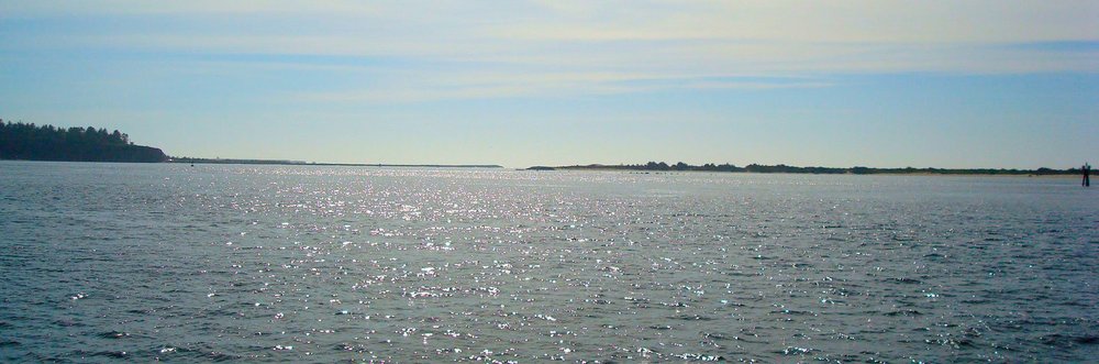 OISC Coastal Field Tour — Oregon Invasive Species Council