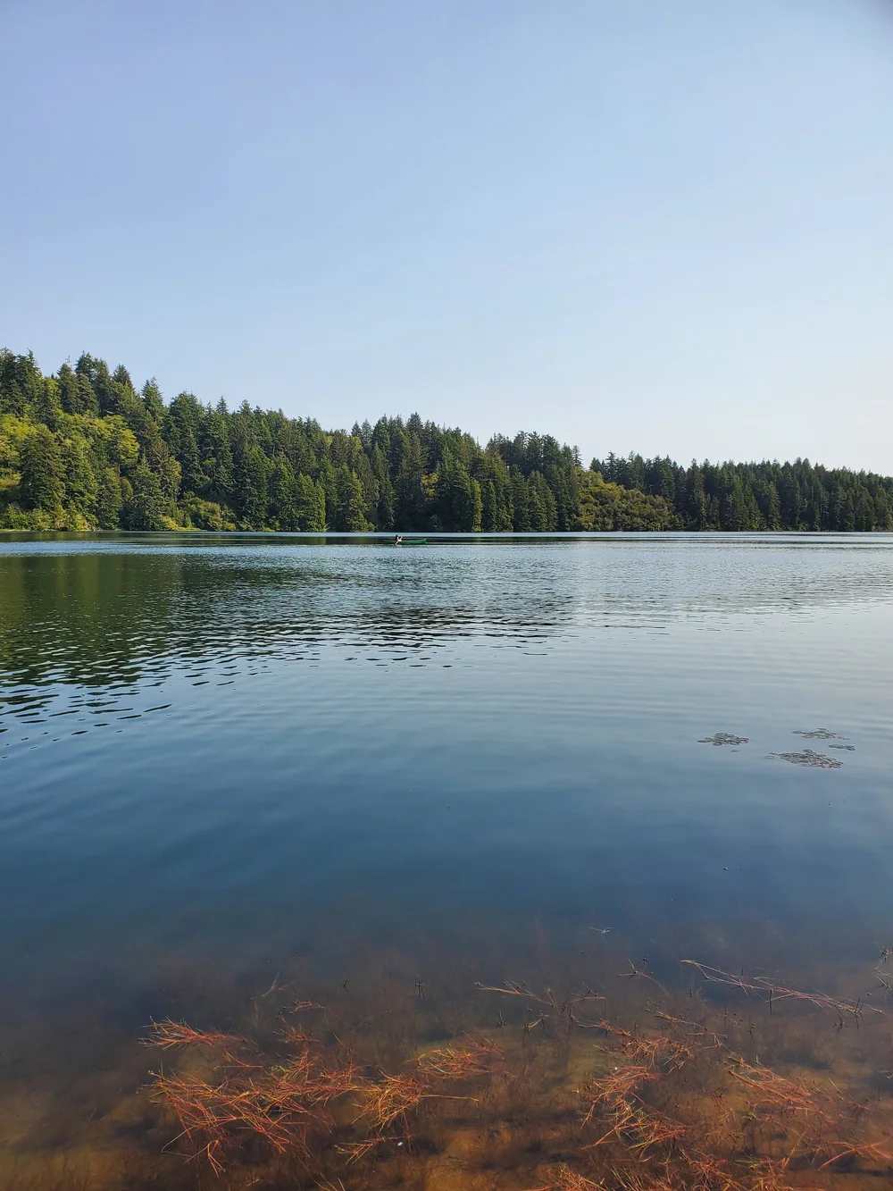 State Management Plans — Oregon Invasive Species Council