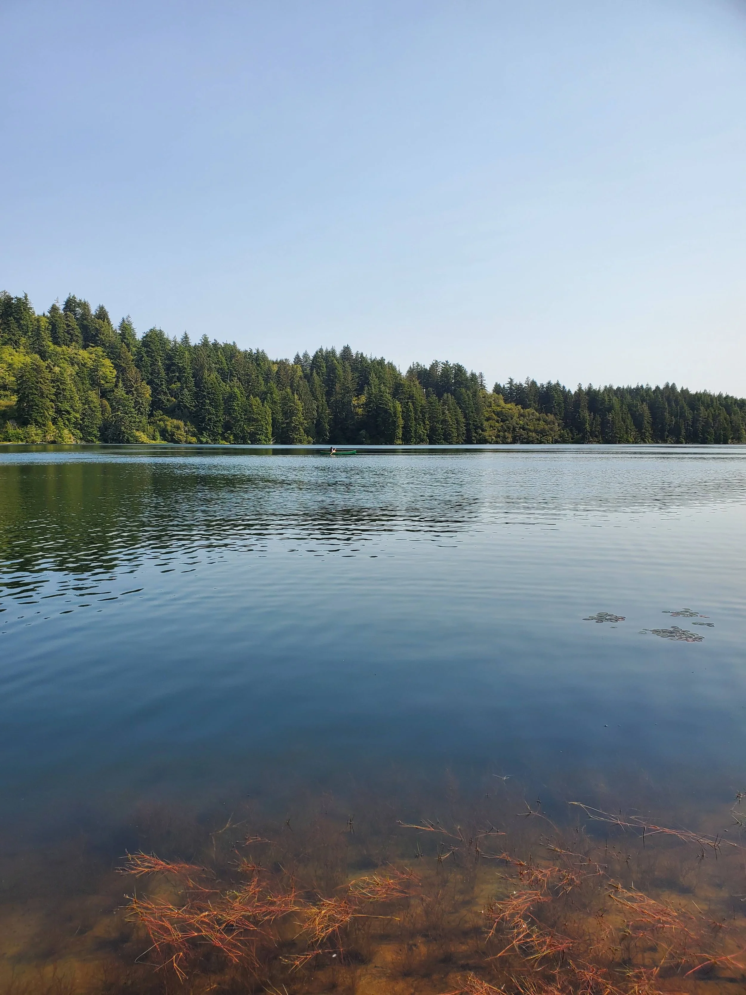 State Management Plans — Oregon Invasive Species Council