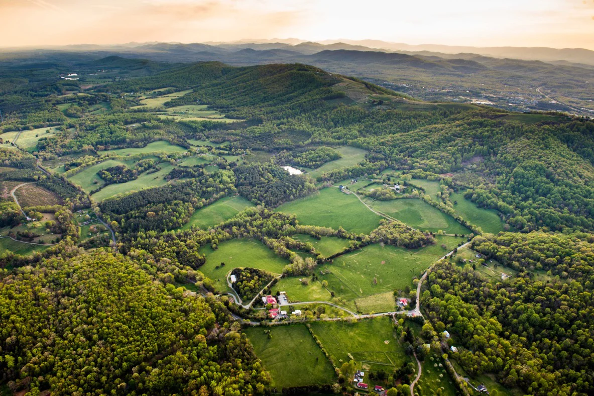 Monticello Wine Trail