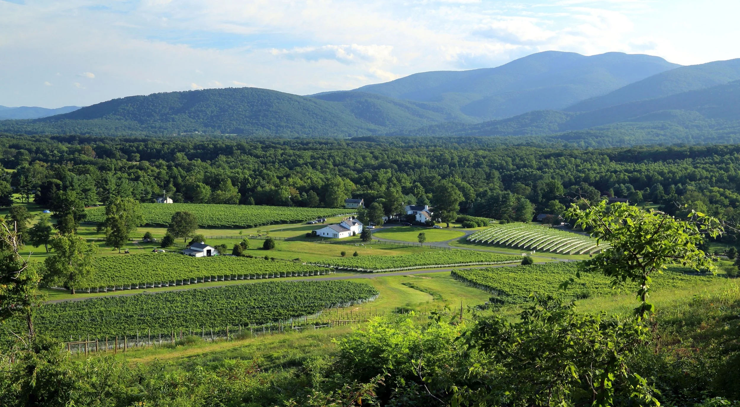 Monticello Wine Trail