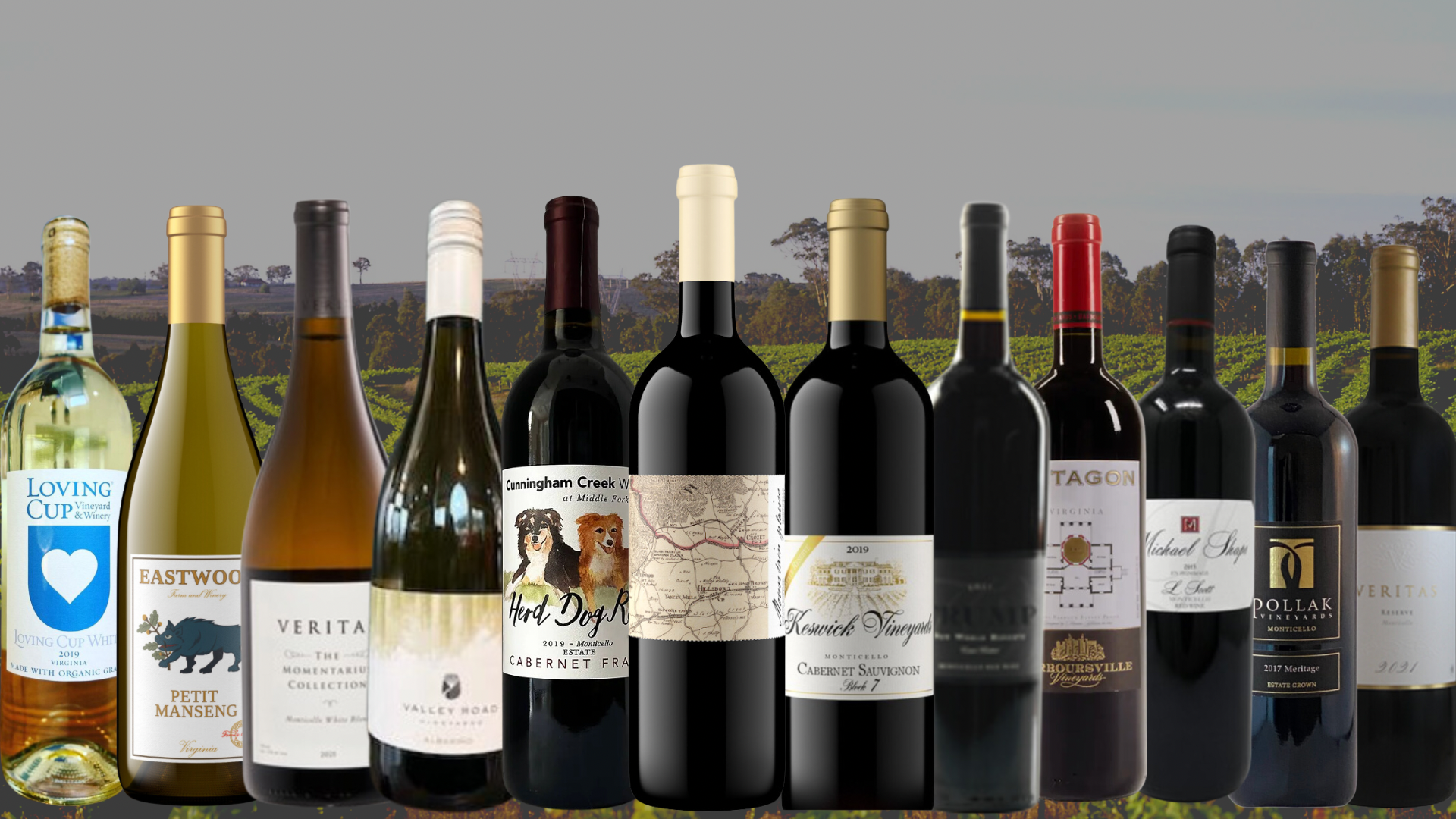 Monticello Cup Wine Competition — Monticello Wine Trail