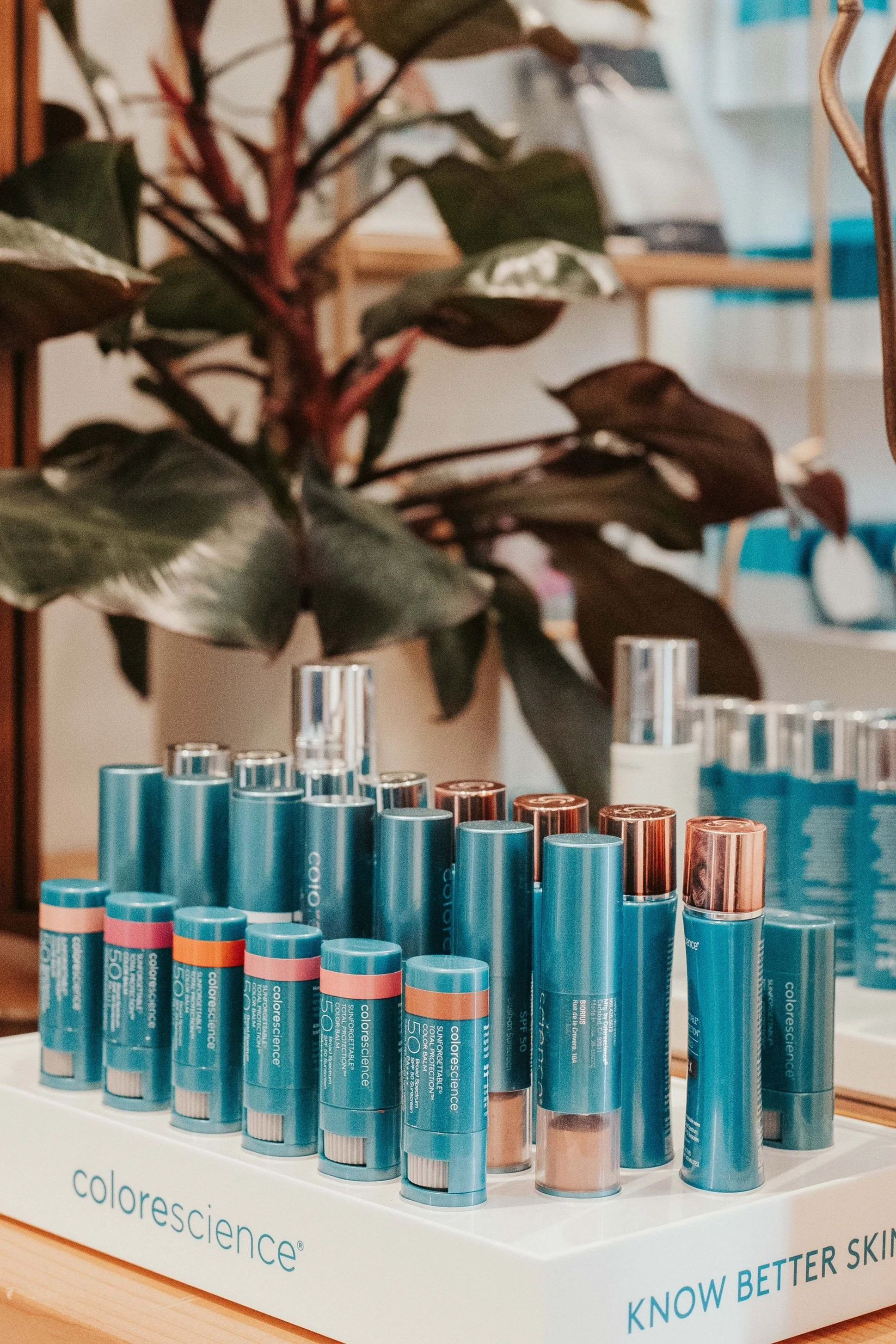 Spruce Skin & Wax Shoppe