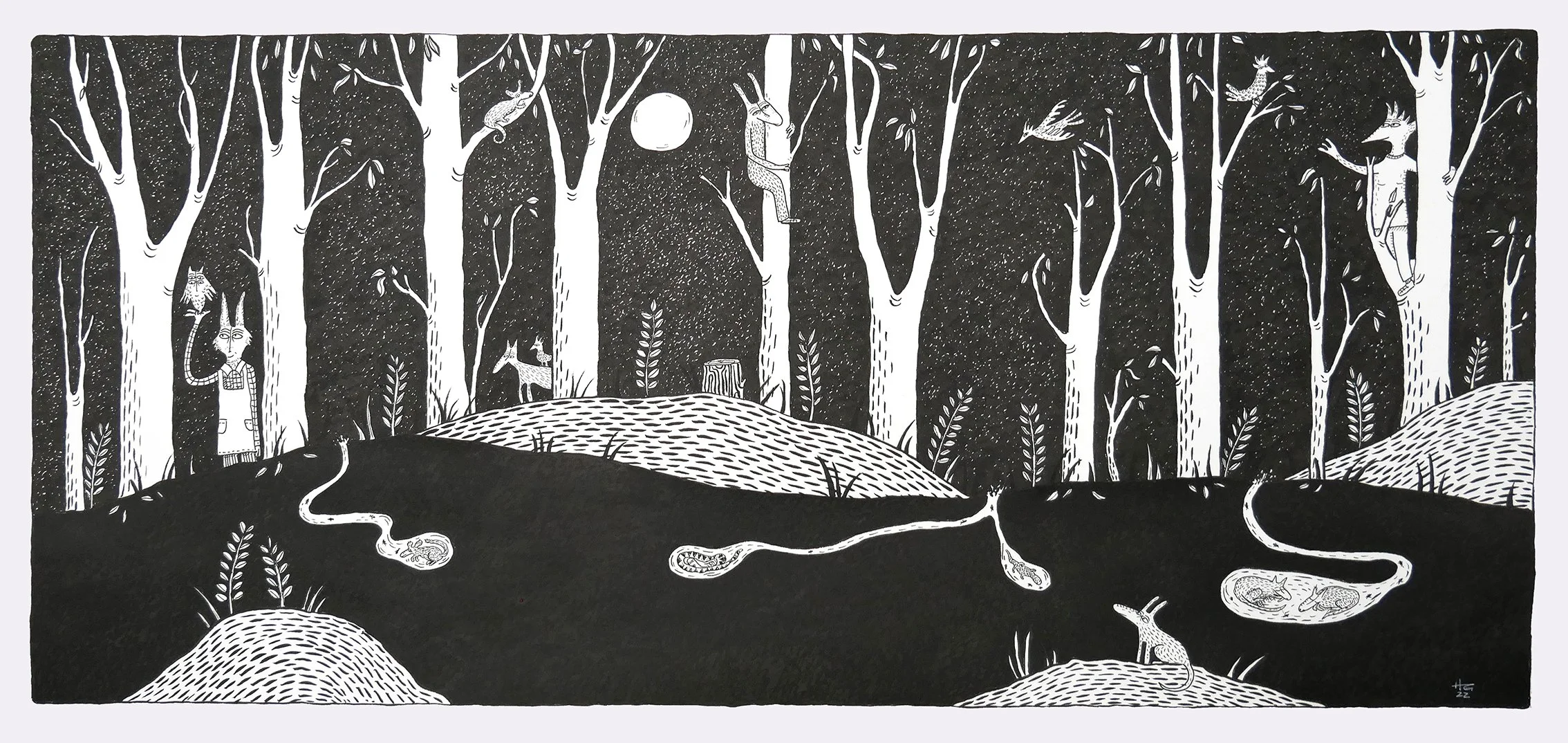 Helen Gibbins