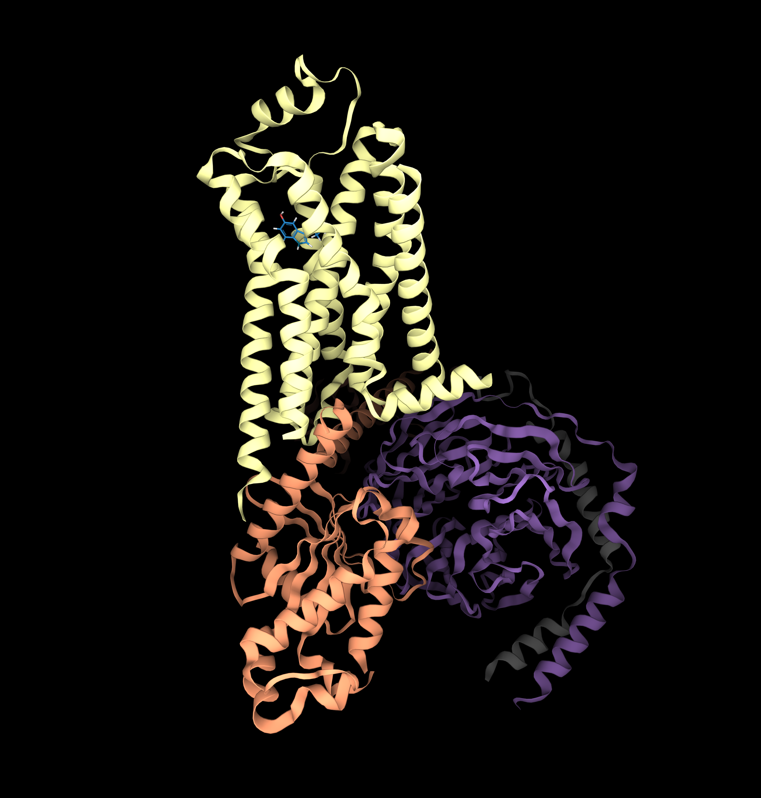 Serotonin receptors (5-HT receptors) — Discngine 3decision ...