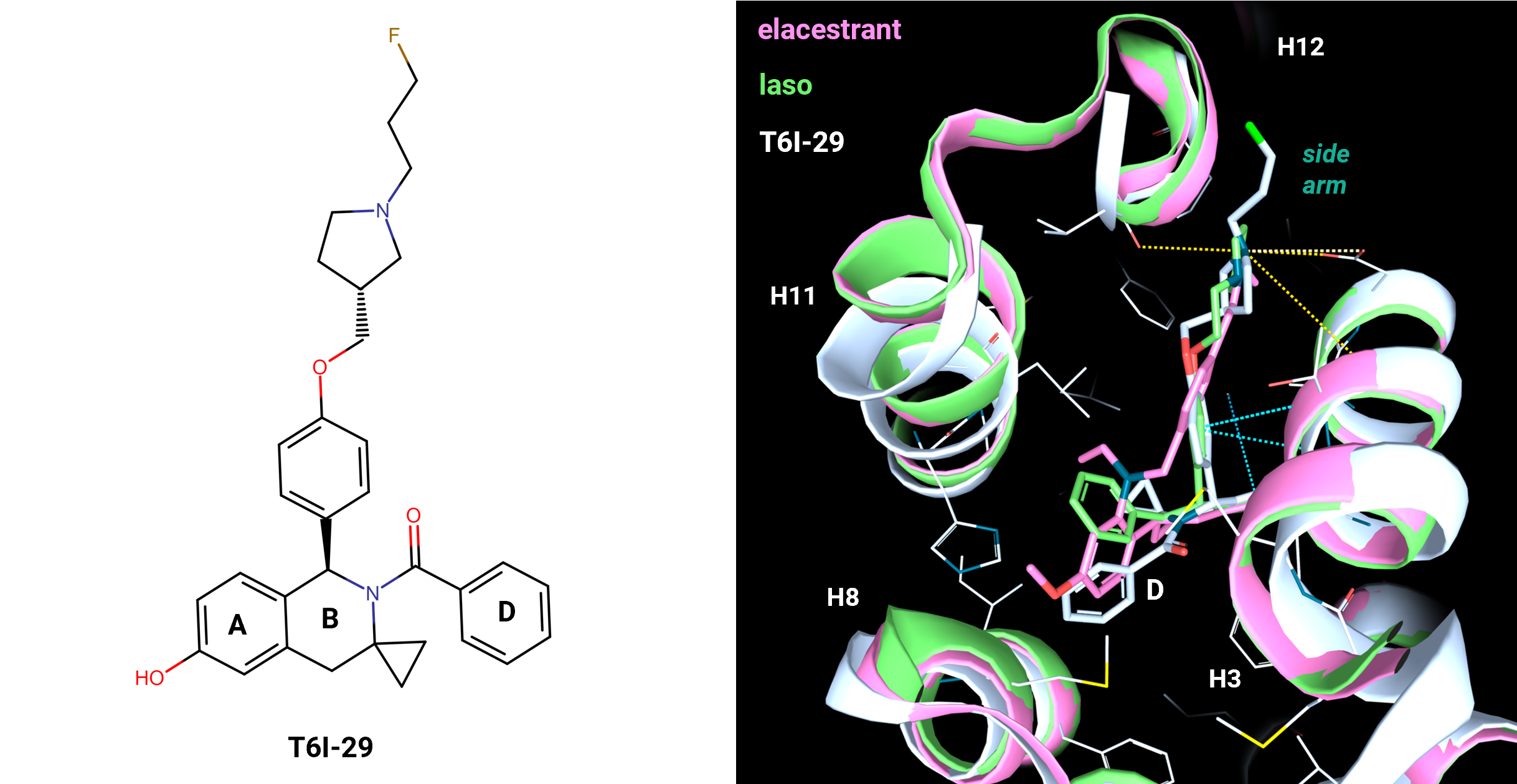 Protein of the month — Discngine 3decision® - Collaborative Platform ...