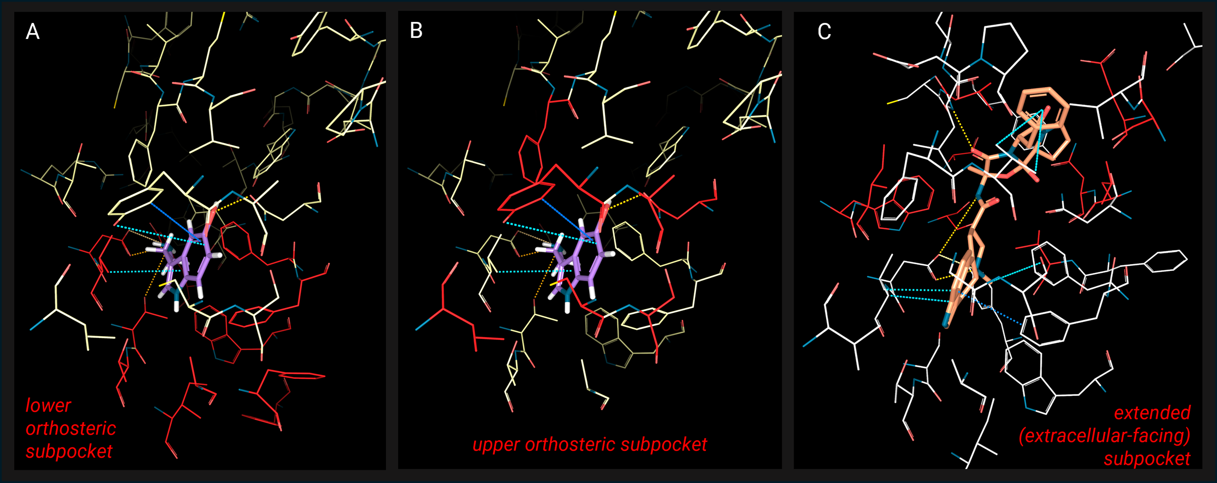 Serotonin receptors (5-HT receptors) — Discngine 3decision ...