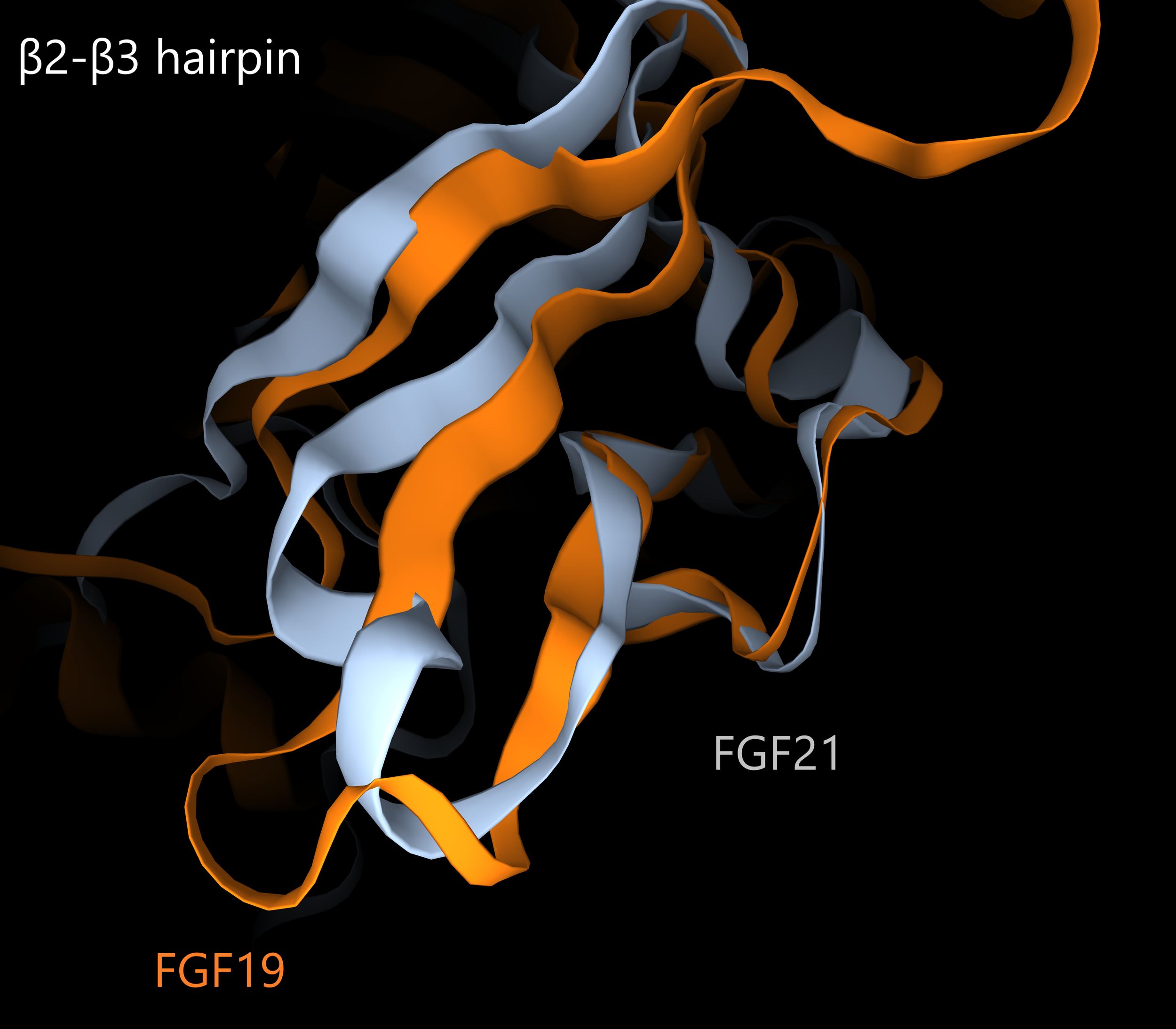 FGF21 - Protein of the month - March 2022 — Discngine 3decision ...