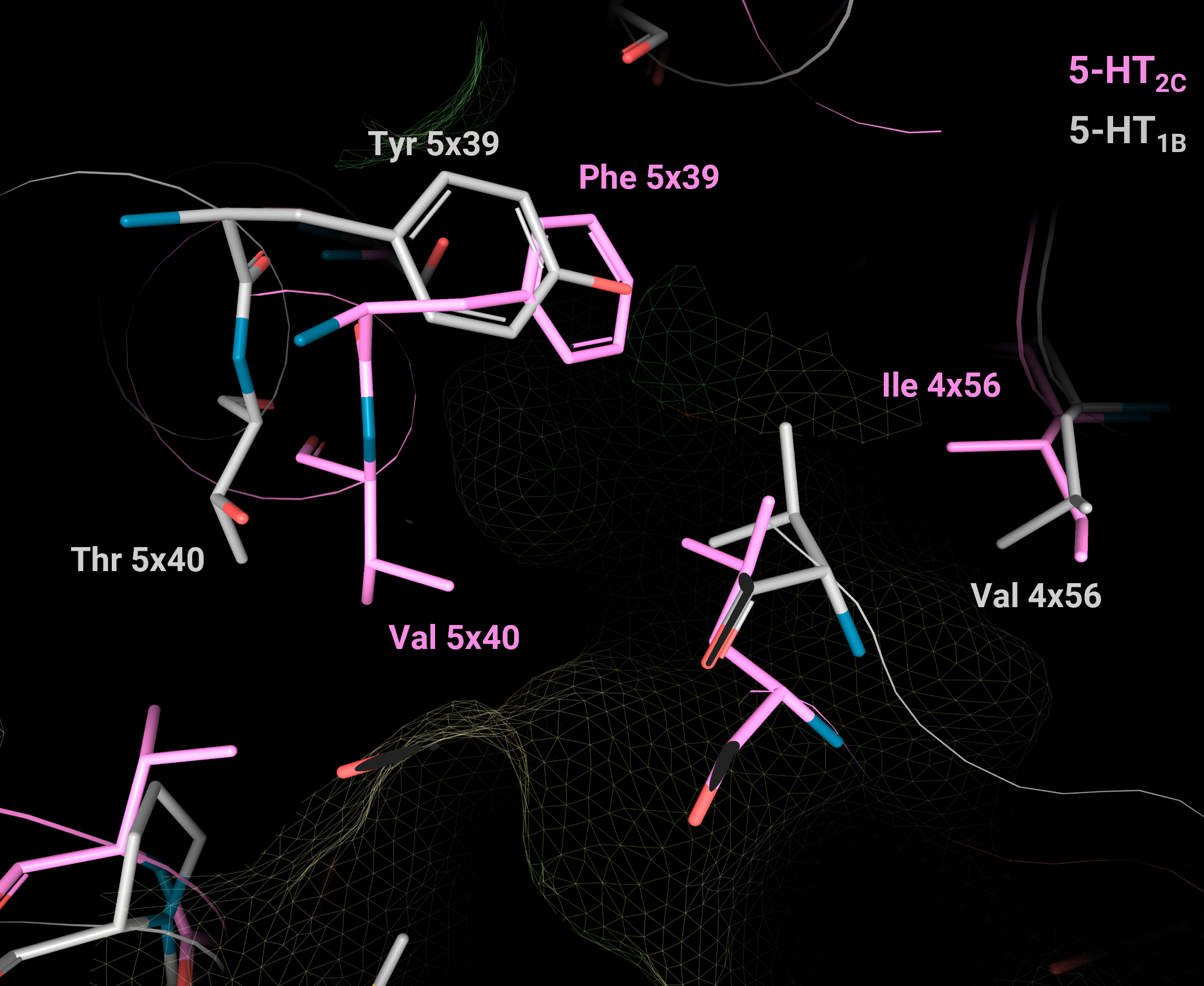 Serotonin receptors (5-HT receptors) — Discngine 3decision ...